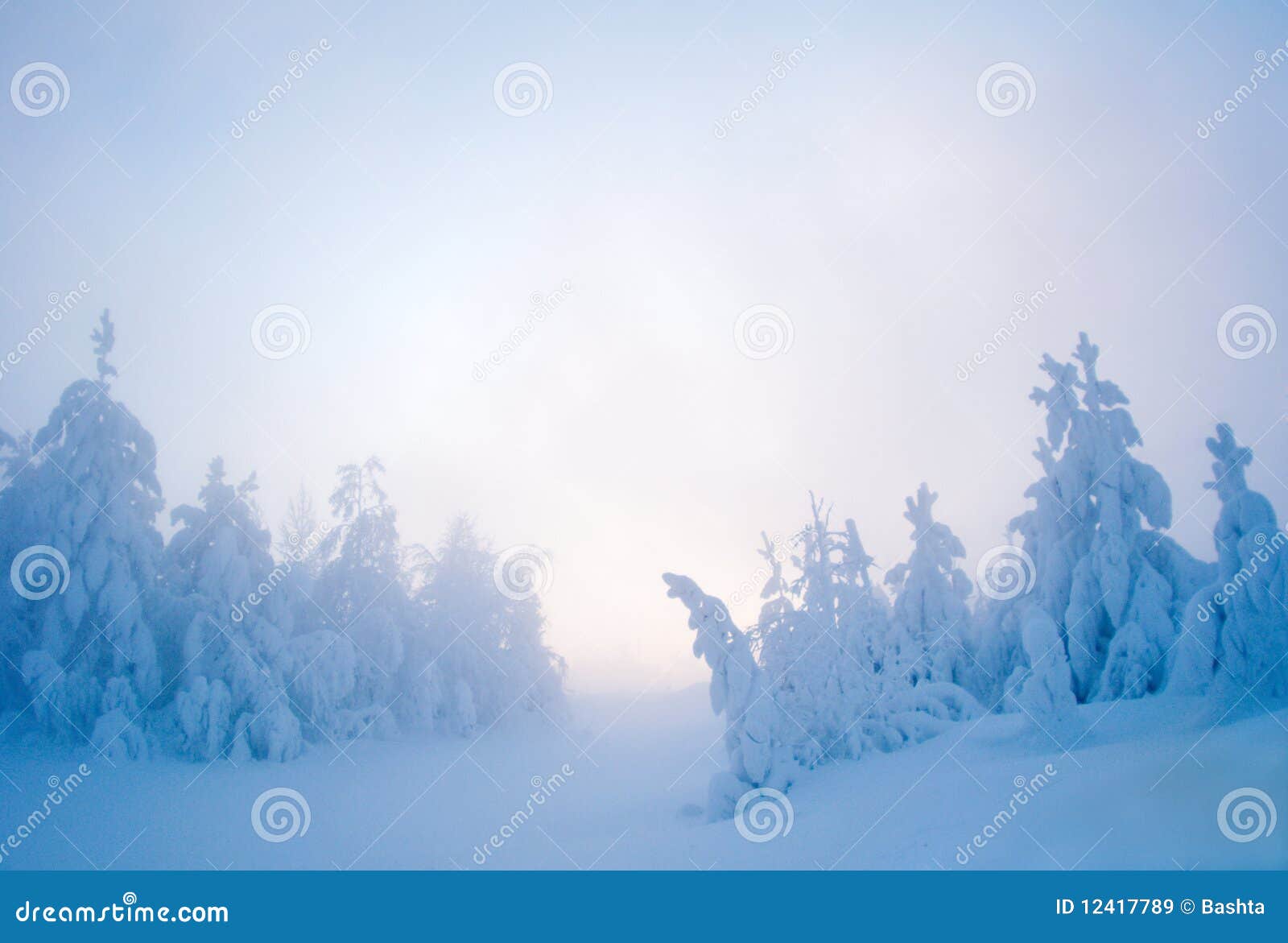 Twilight Snow stock image. Image of nordic, scene, scenics - 12417789