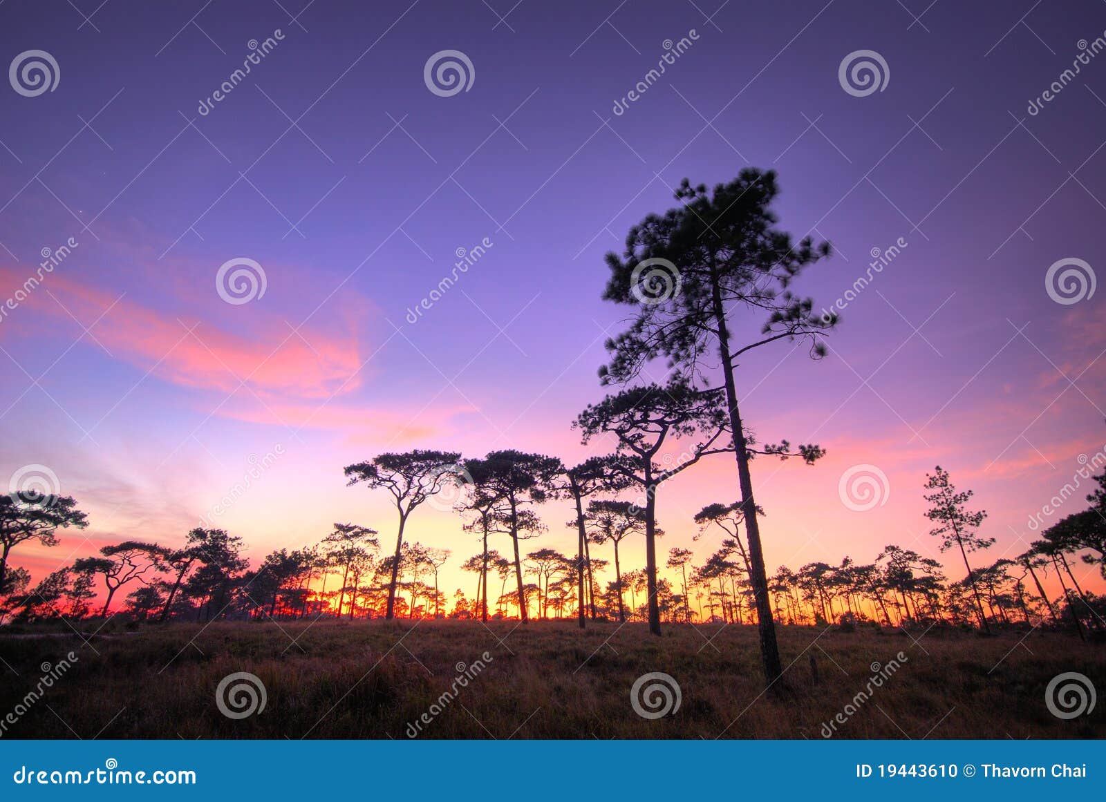 Twilight time stock photo. Image of nature, mountains - 19443610