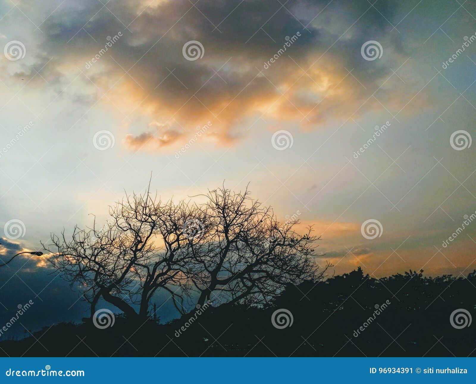 Twilight stock image. Image of tree, twilight, indonesia - 96934391