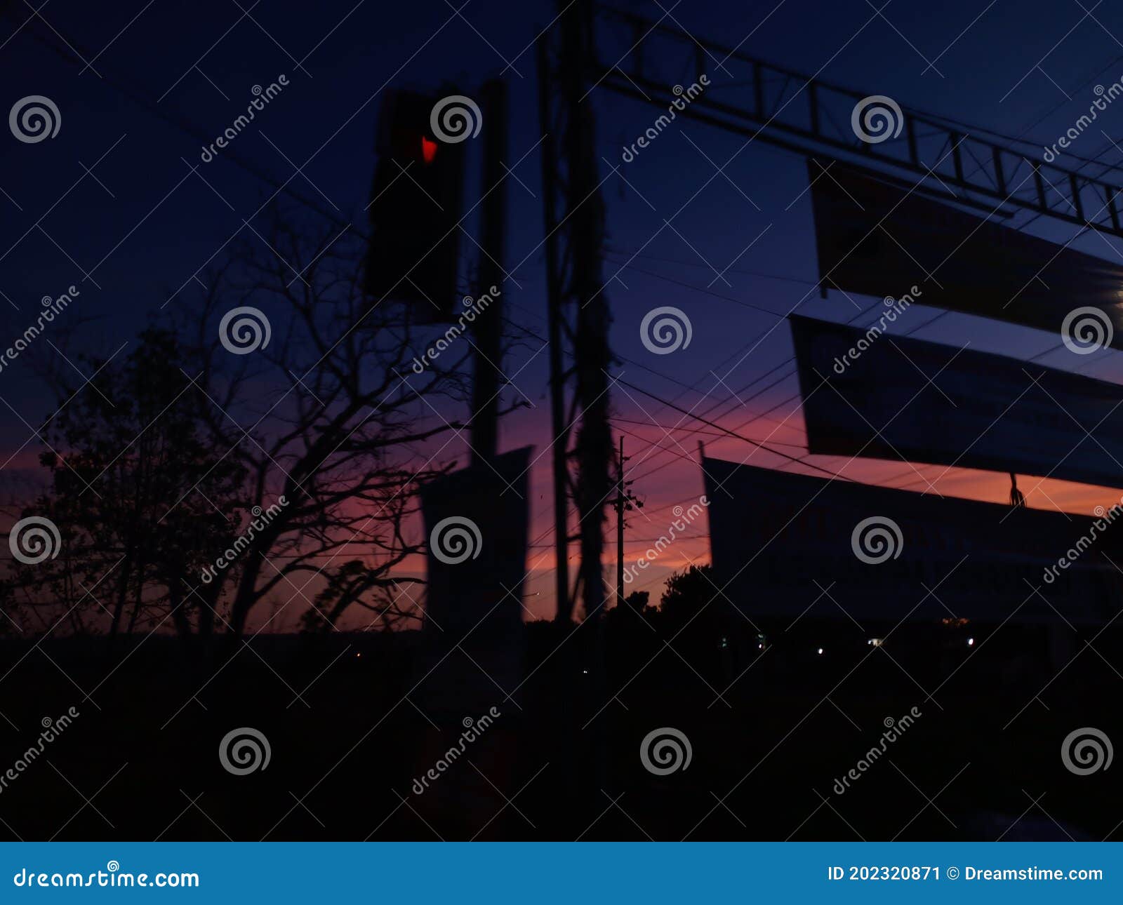 Twilight Tree stock image. Image of twilight, tree, aesthetic - 202320871