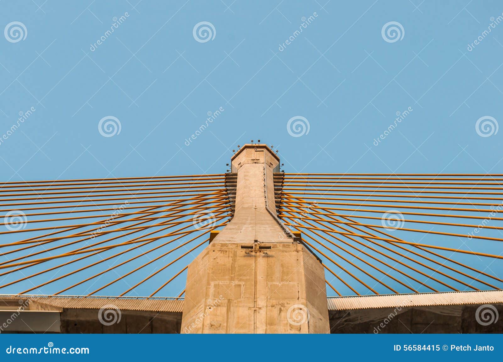 The Under View Of Tree Texture Stock Photography | CartoonDealer.com ...