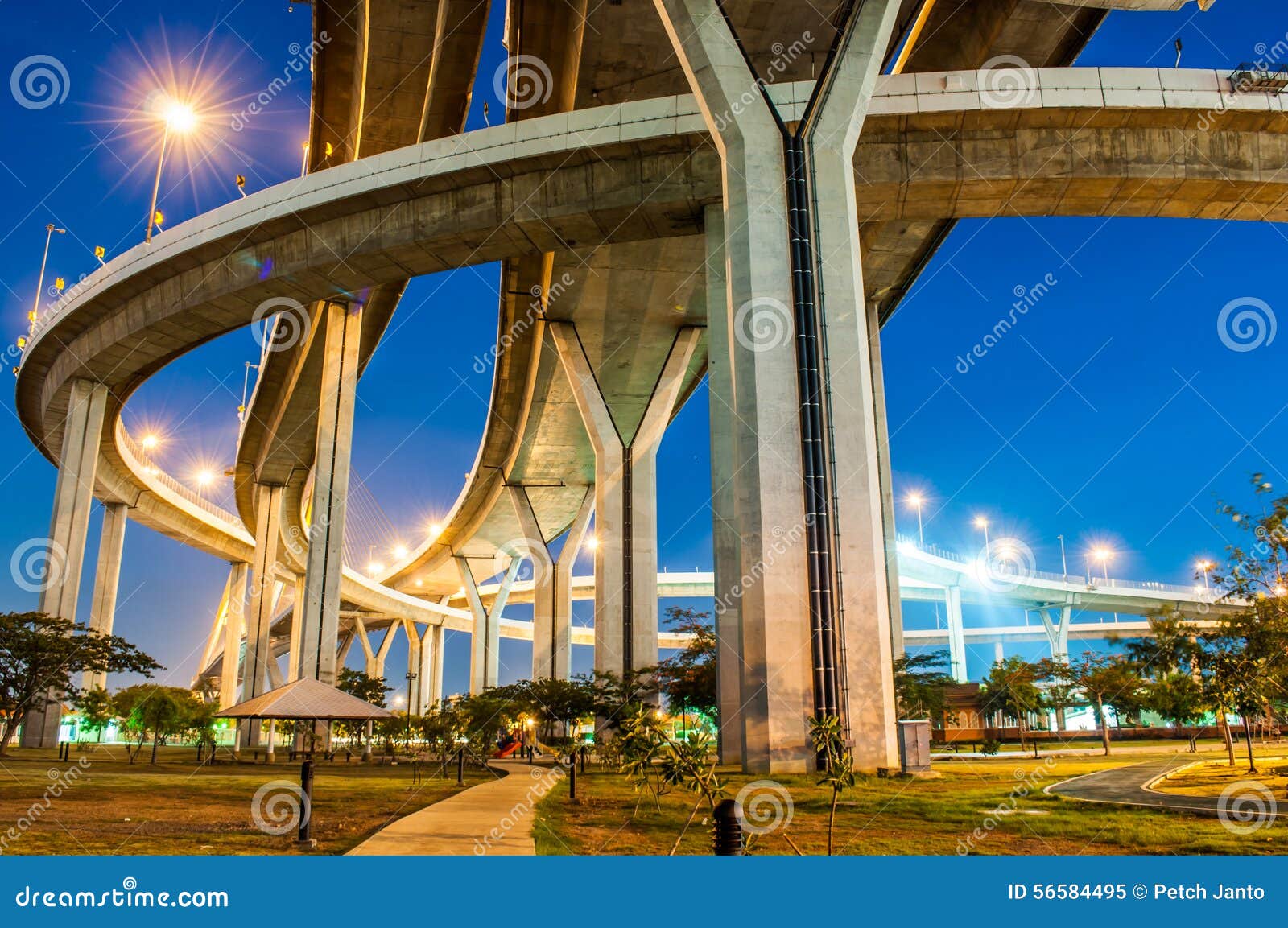 The Under View Of Tree Texture Stock Photography | CartoonDealer.com ...