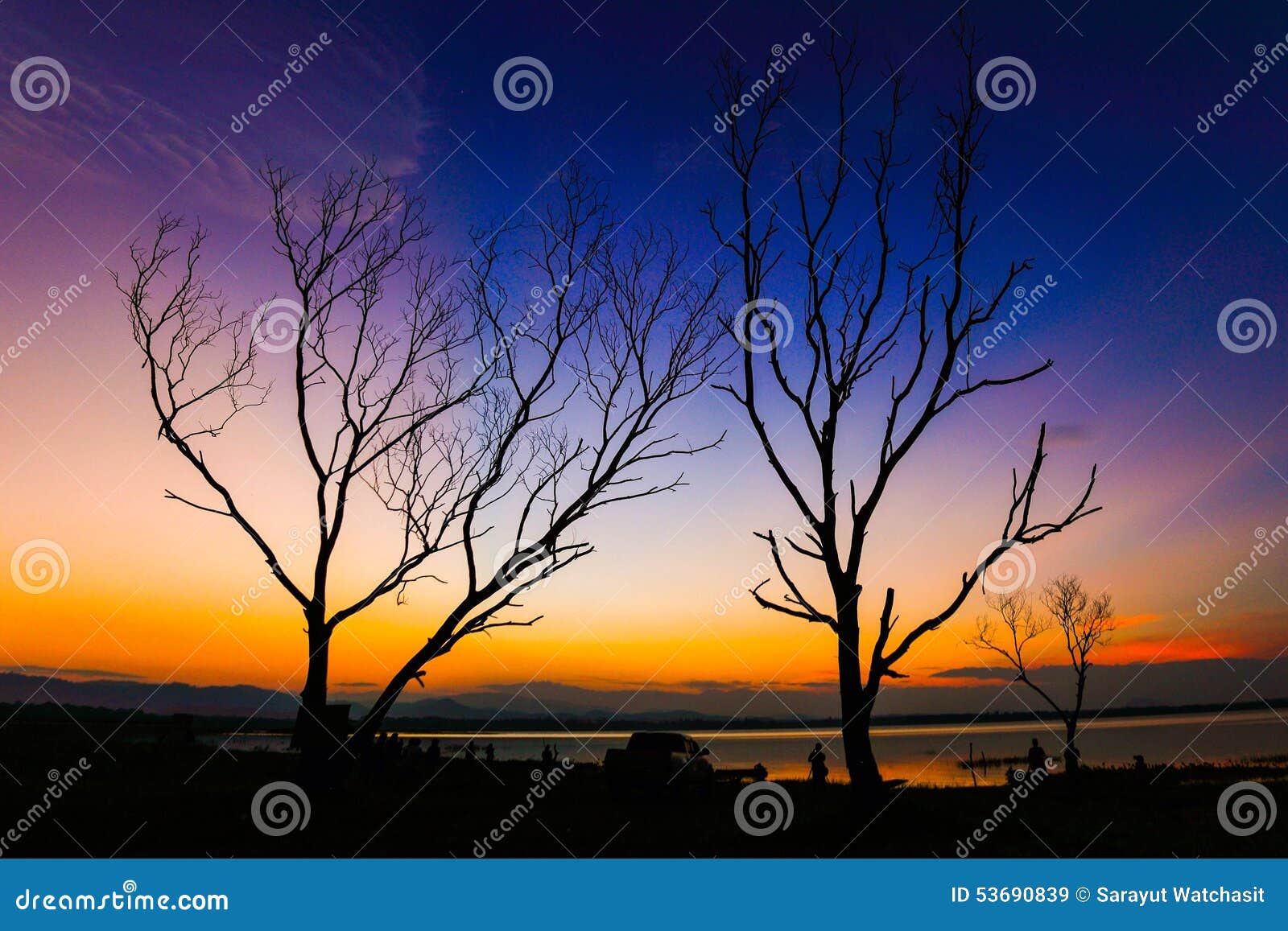 Twilight view stock image. Image of dusk, twilight, tree - 53690839