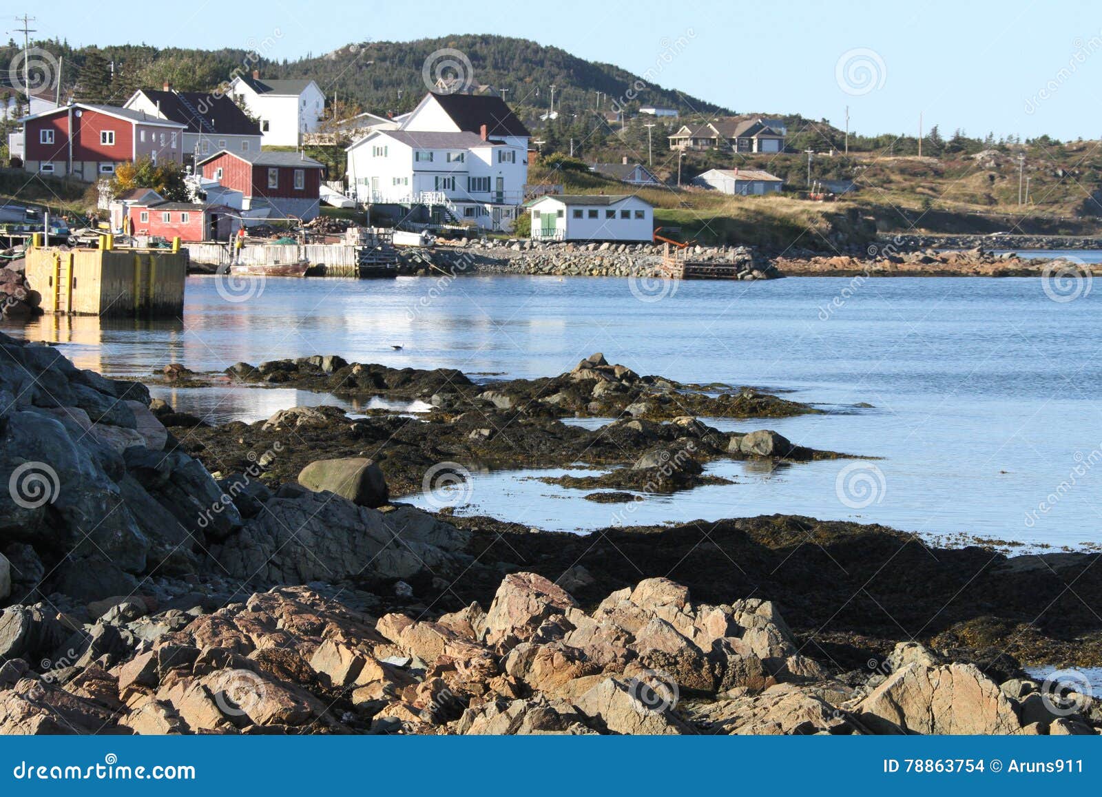 Twilingate,newfoundland,canada Stock Photo - Image of newfoundland ...