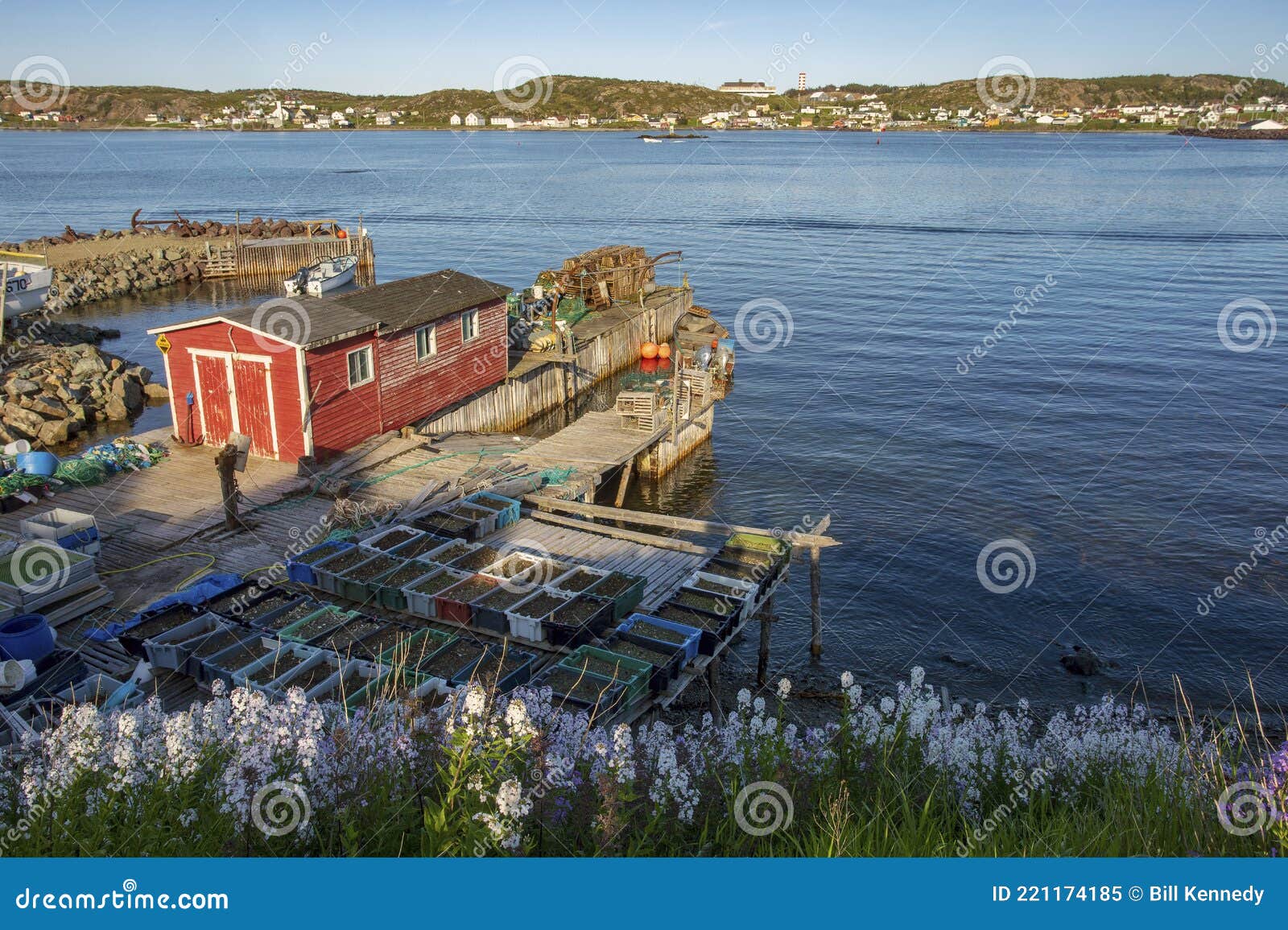 Twillingate, Newfoundland editorial image. Image of scenic - 221174185