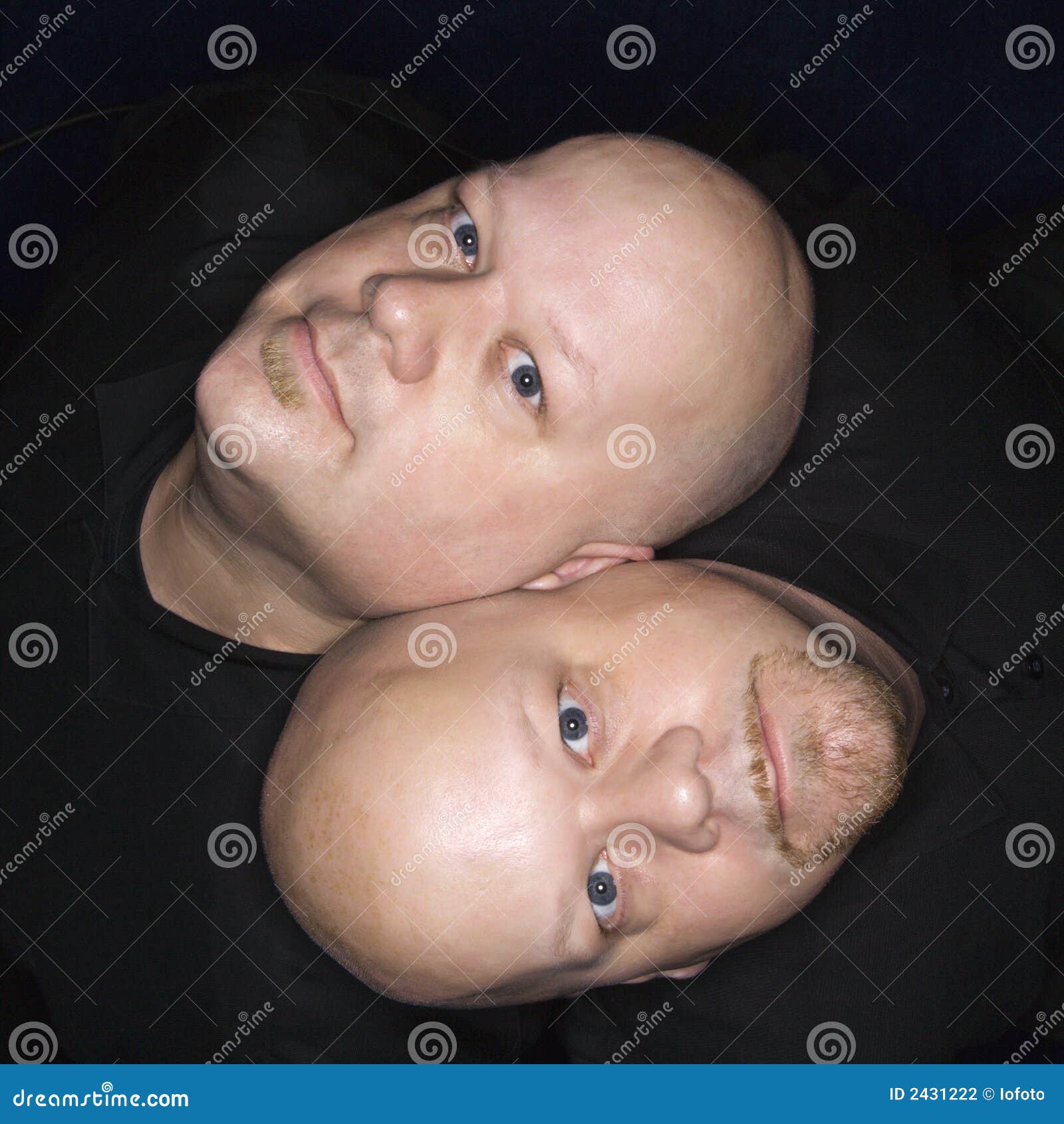 Twin bald men. stock photo. Image of high, goatee, looking - 2431222