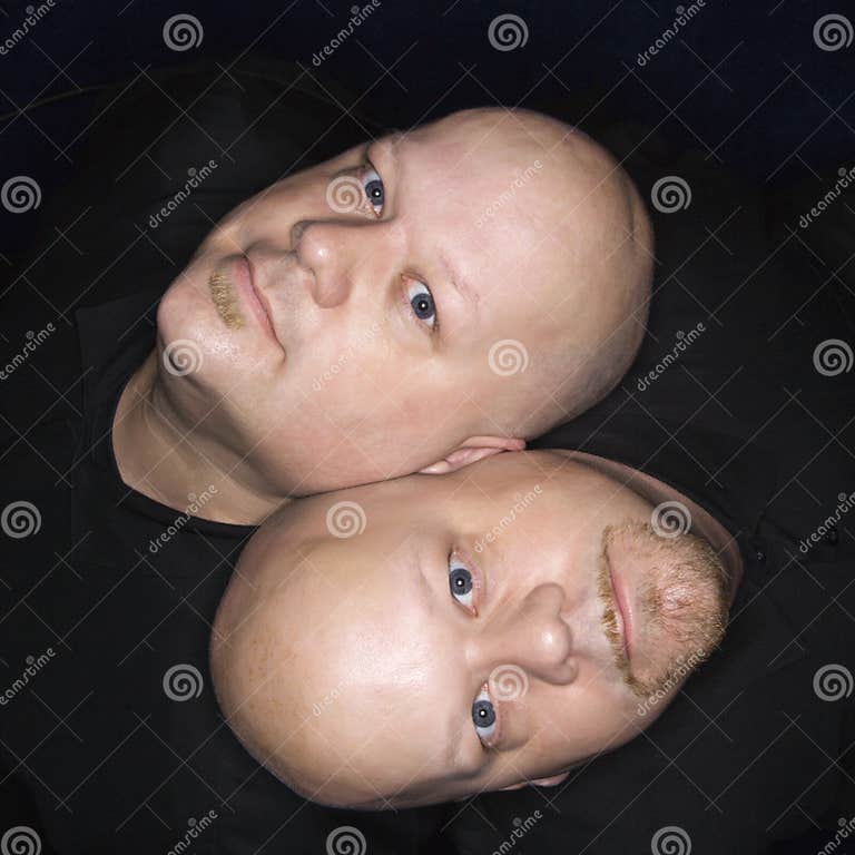 Twin bald men. stock photo. Image of high, goatee, looking - 2431222