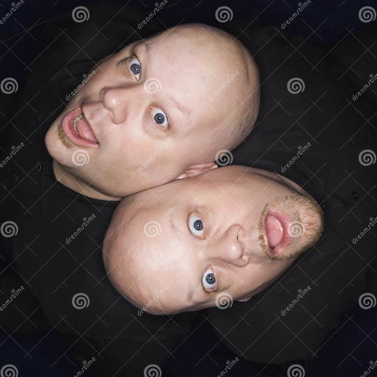 Twin bald men. stock image. Image of eyed, indoors, kinship - 2431223