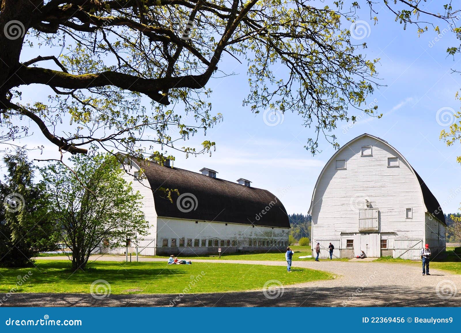 Twin Barns stock photo. Image of architecture, nature - 22369456