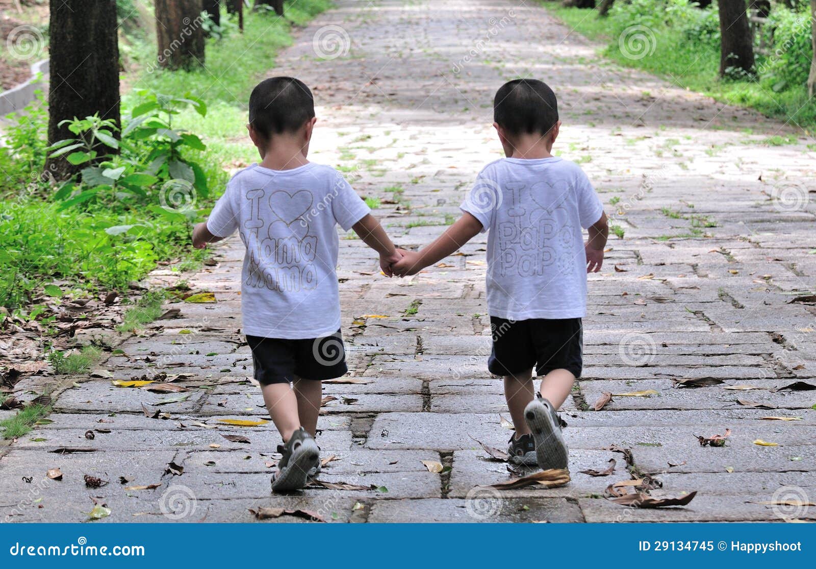Twin brothers stock image. Image of friends, hands, children - 29134745