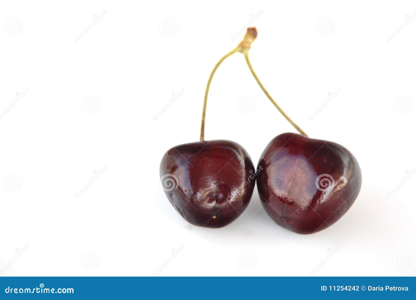 Twin cherries stock photo. Image of jucy, cherry, berry - 11254242