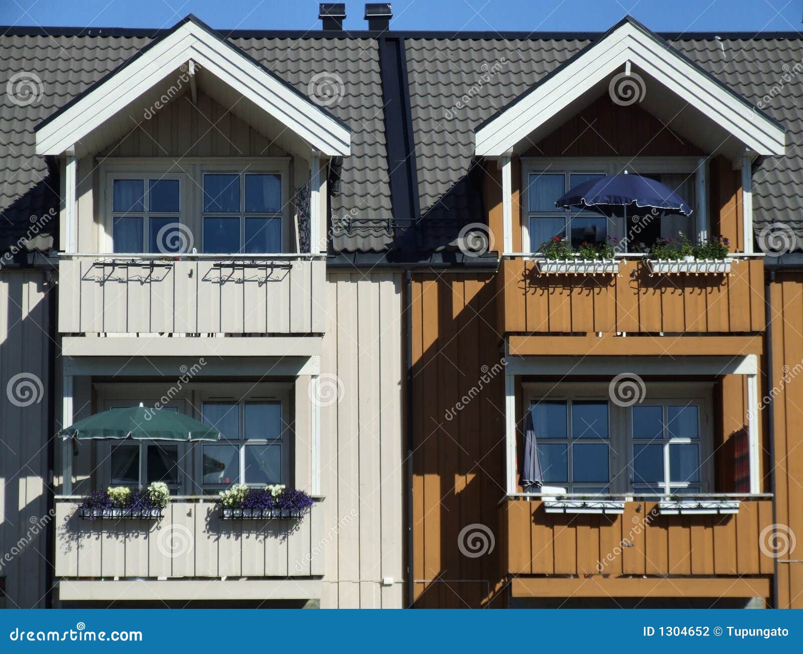 Twin Colorful Victorian Houses Stock Photo - Image of picturesque ...