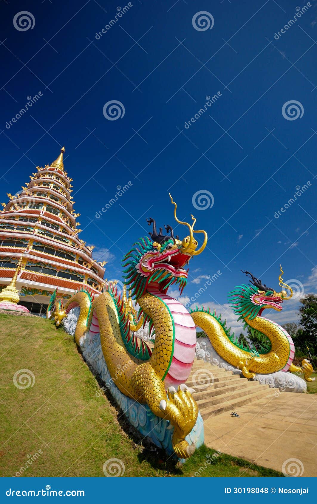Dragon pagoda stock photo. Image of antique, pagoda, classic - 30198048