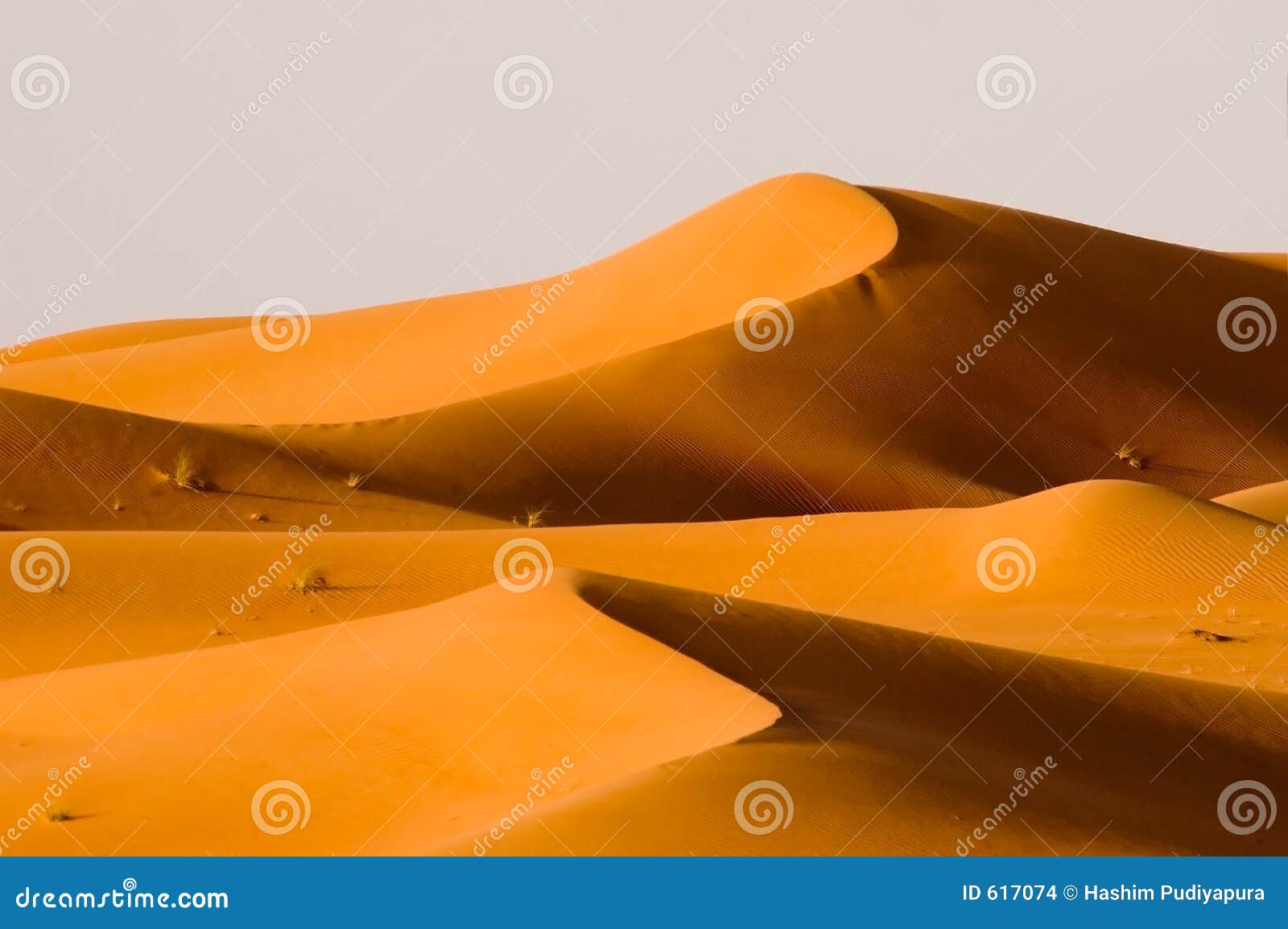 Twin dunes stock photo. Image of sandy, perspective, sand - 617074