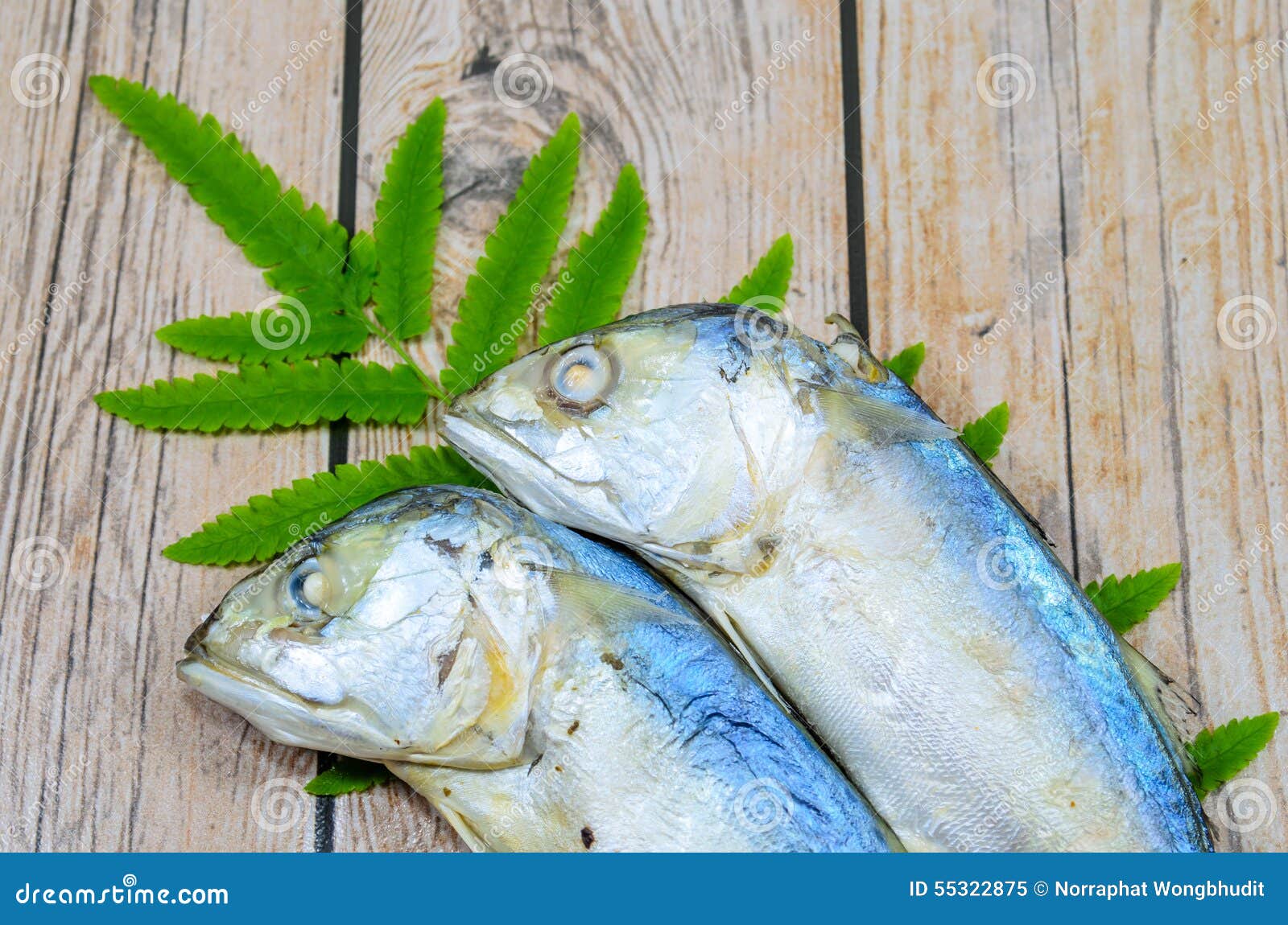Twin Fish stock image. Image of wood, protein, fish, health - 55322875