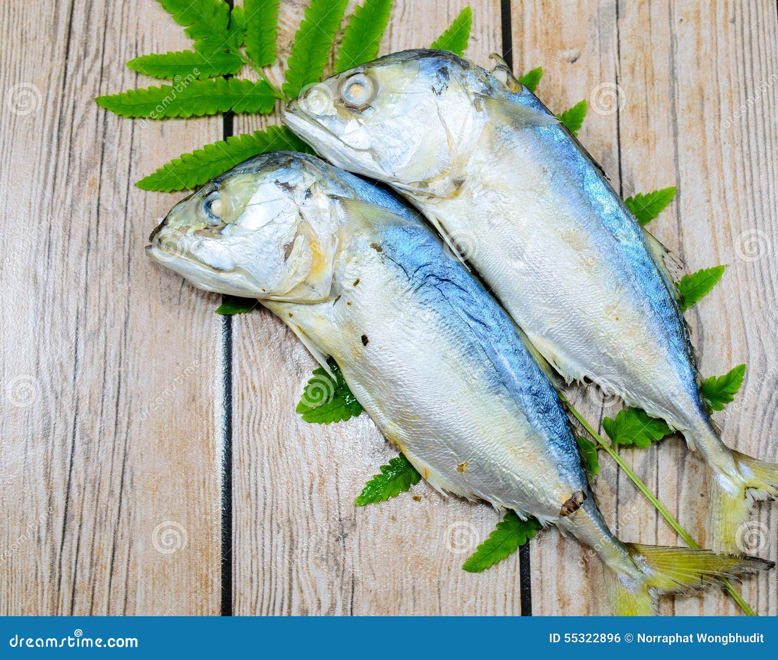 Twin Fish stock photo. Image of market, asia, cooking - 55322896