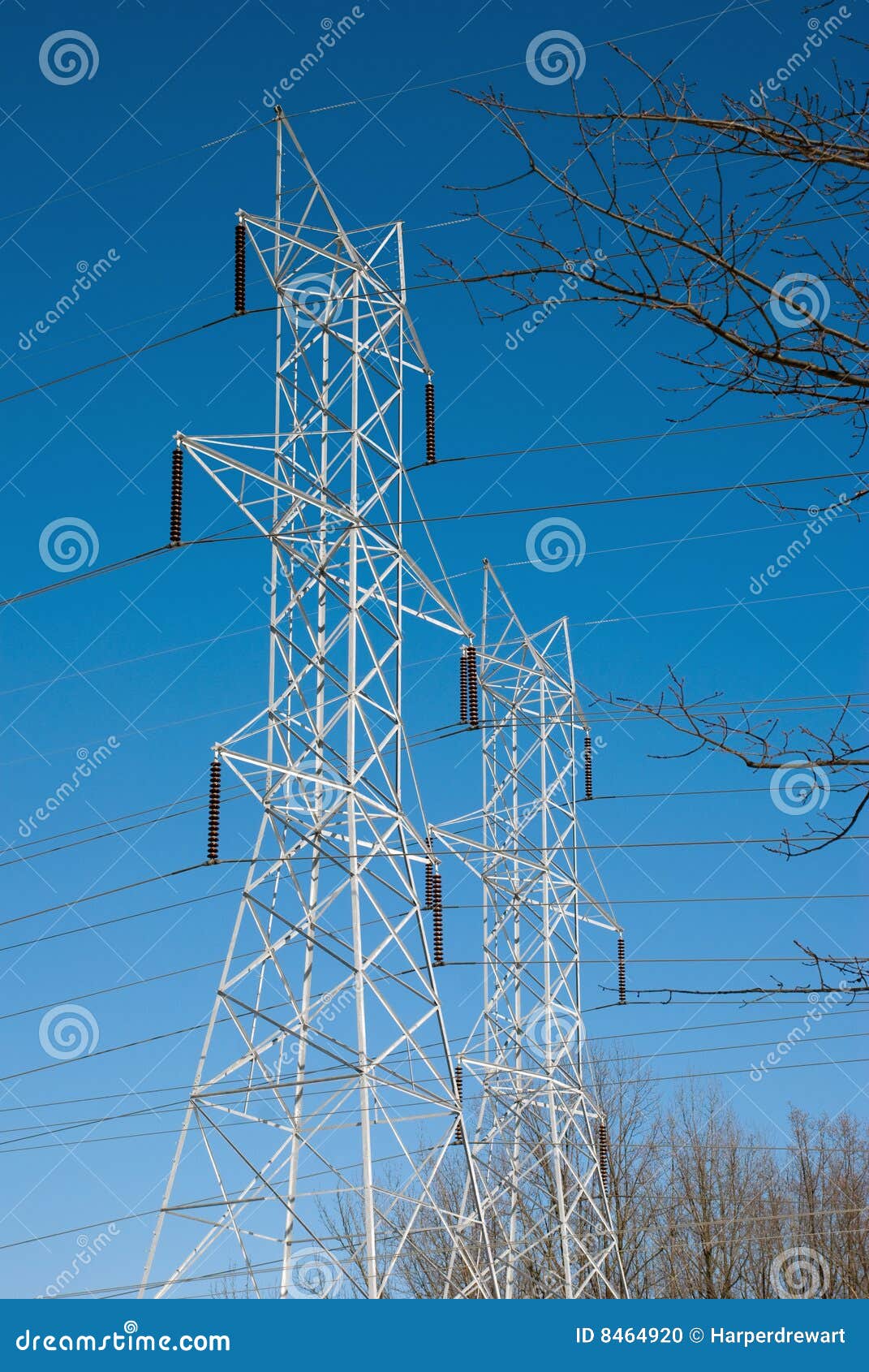 Twin Power Line Towers Framed by Branches Stock Photo - Image of ...