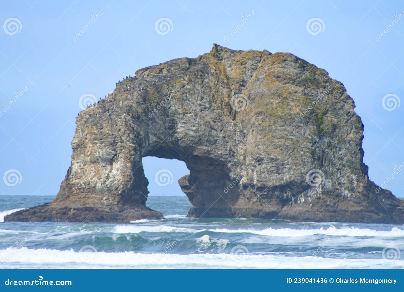 Twin Rocks in Oregon stock photo. Image of ocean, rocks - 239041436