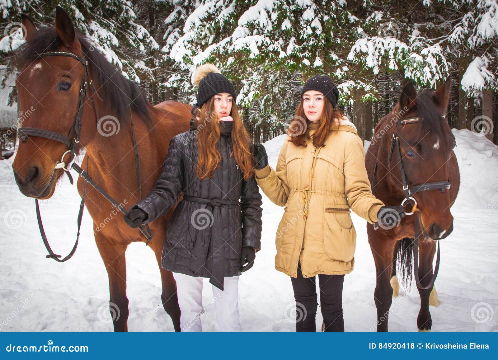 Twin Sisters and Horse in the Winter Forest Stock Photo - Image of ...