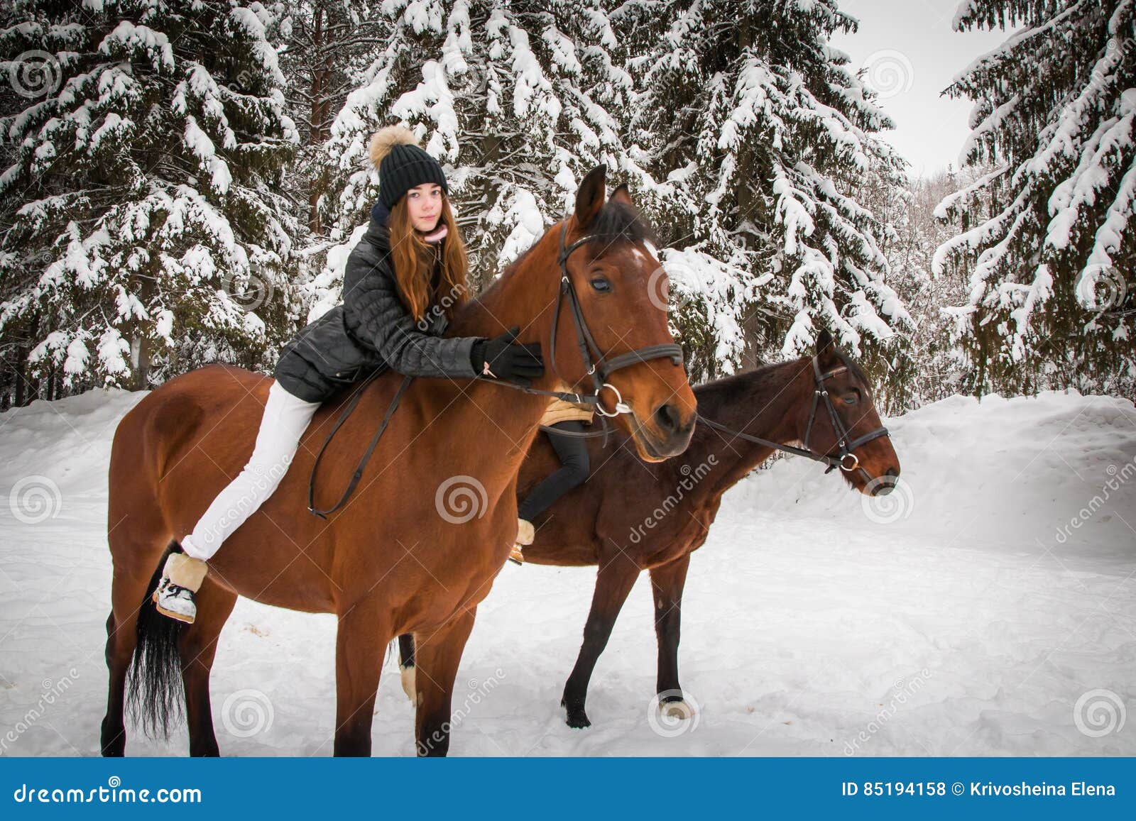 Twin Sisters and Horse in the Winter Forest Stock Photo - Image of ...