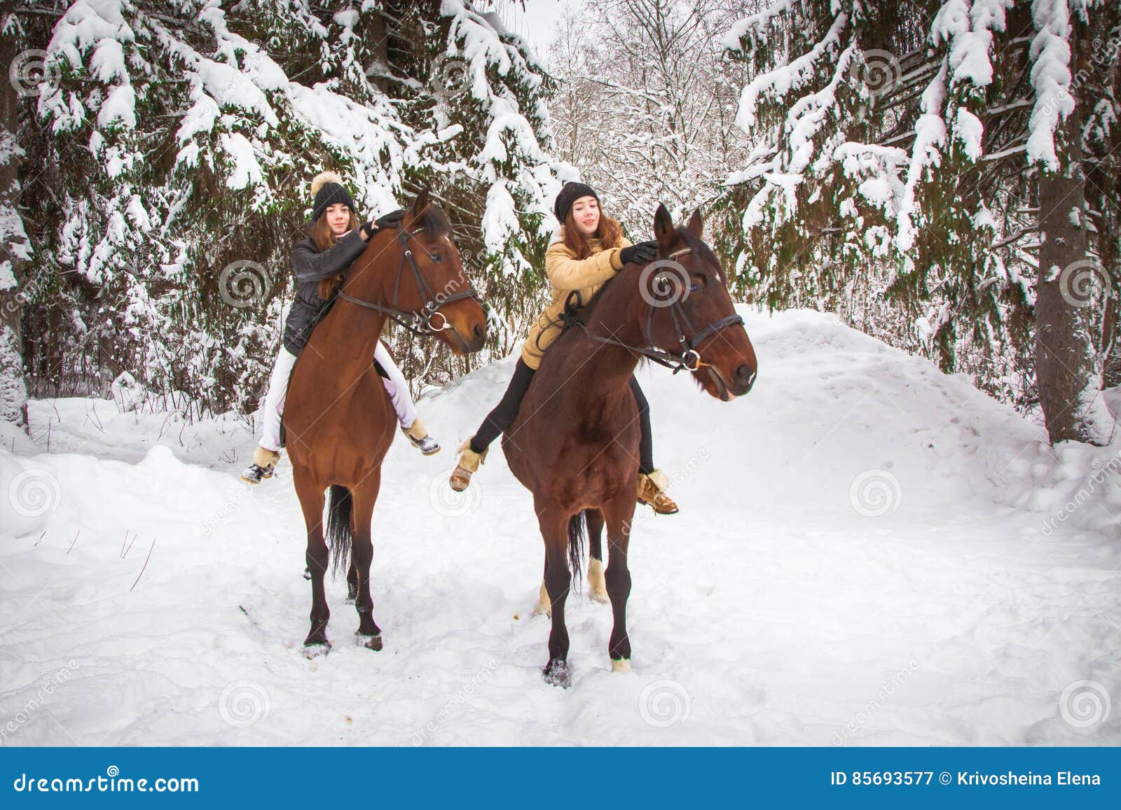 Twin Sisters and Horse in the Winter Forest Stock Image - Image of hike ...