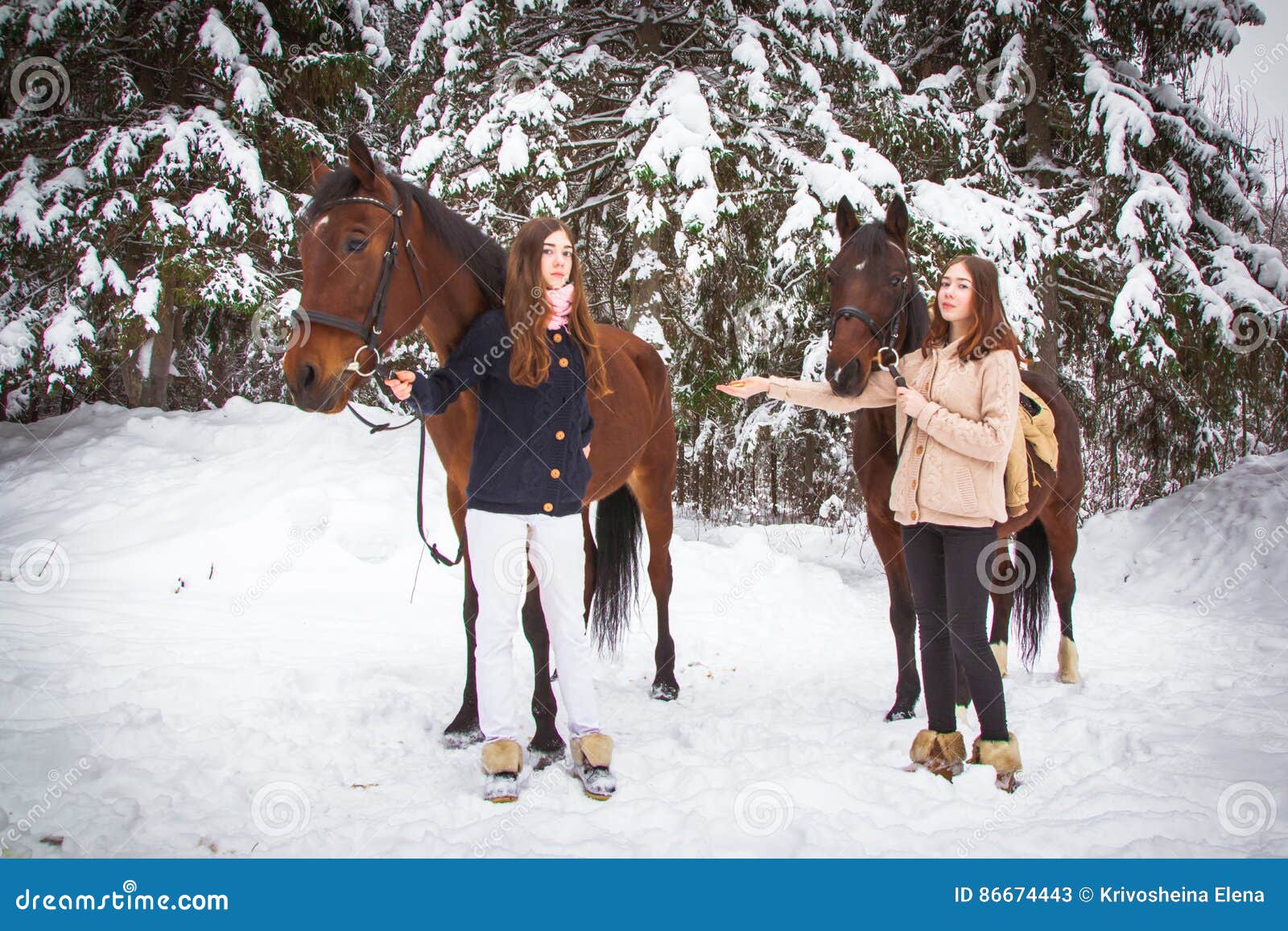 Twin Sisters and Horse in the Winter Forest Stock Image - Image of ...