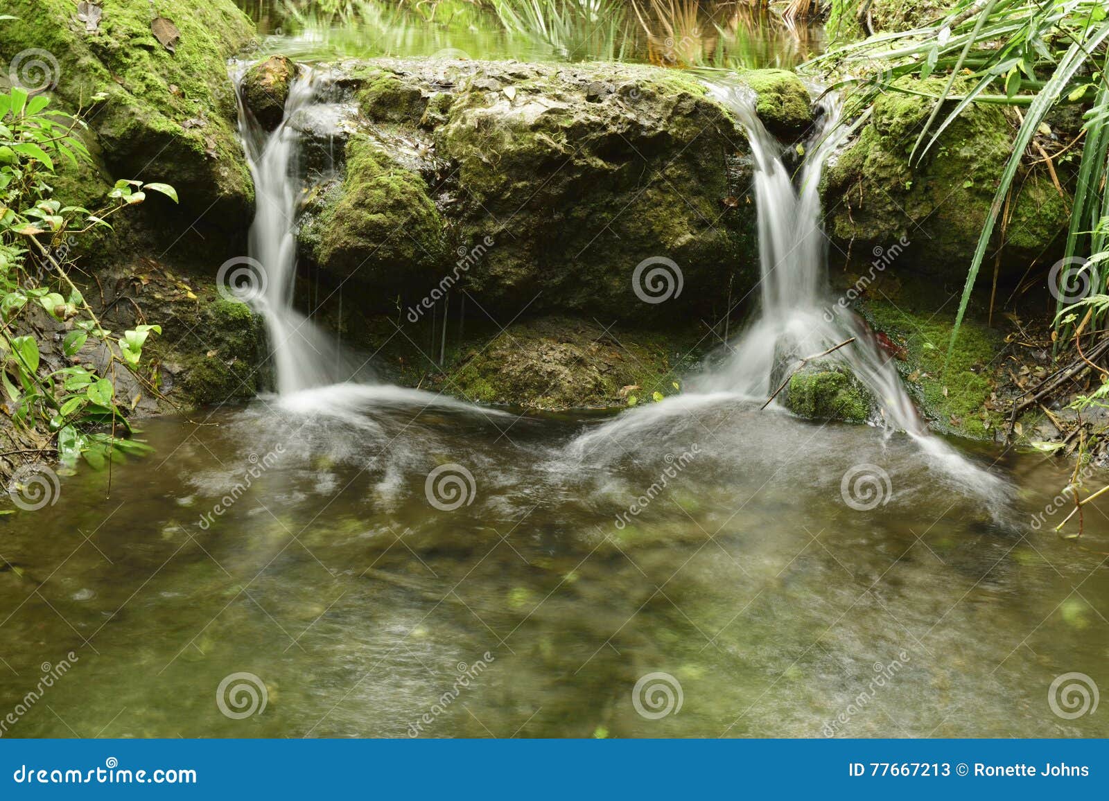 Twin small waterfalls stock image. Image of concept, nature - 77667213