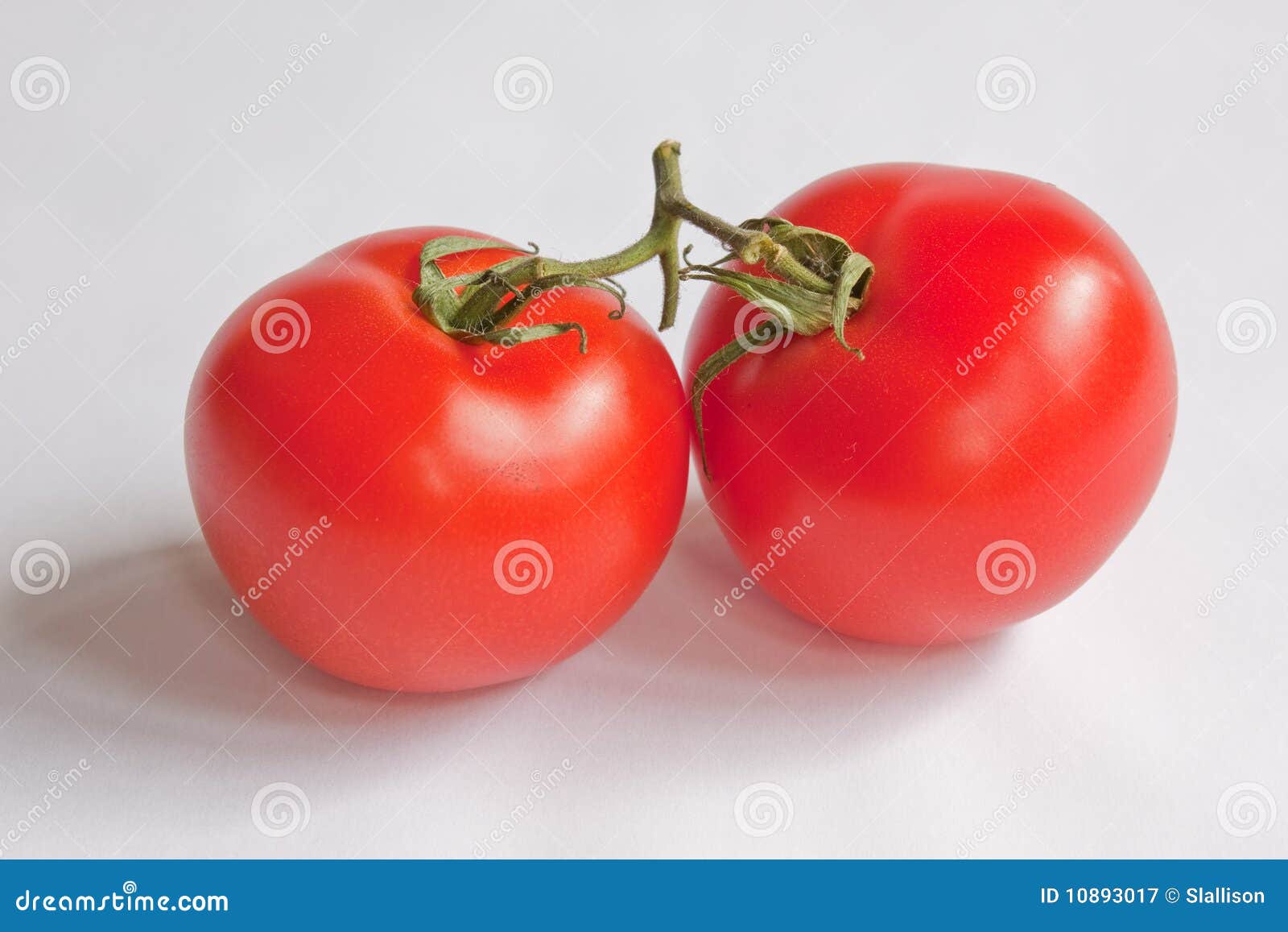 Twin Tomatoes stock image. Image of solanum, togetherness - 10893017