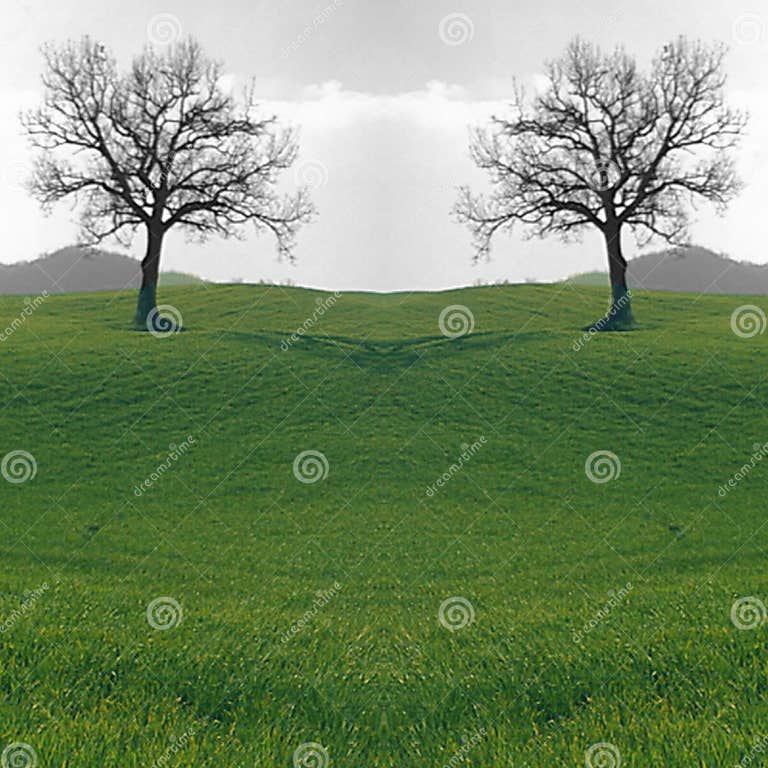Twin Trees in a Green Field Abstract Stock Image - Image of trees, twin ...