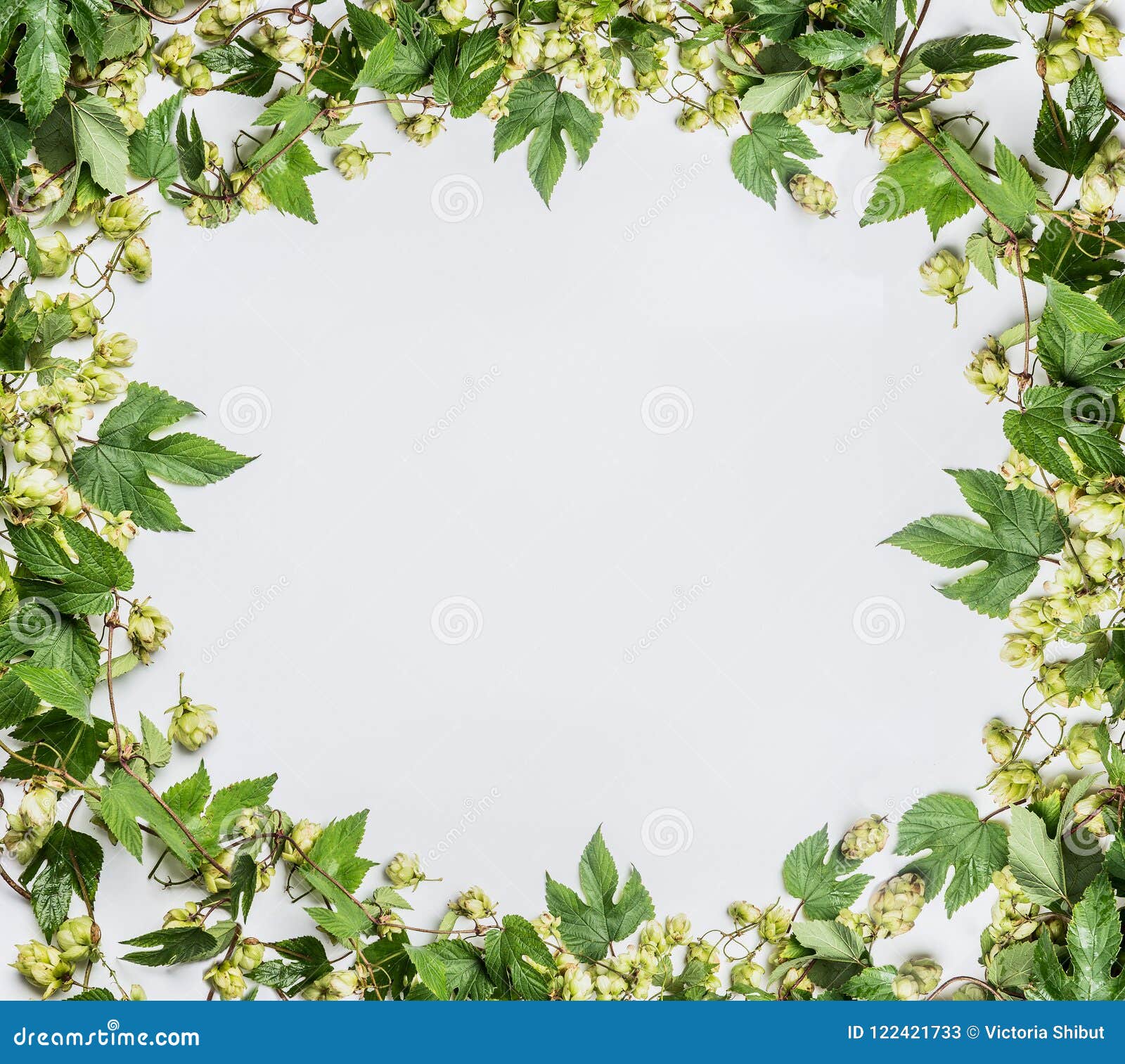 14,588 Vine Frame Photos - Free & Royalty-Free Stock Photos from Dreamstime