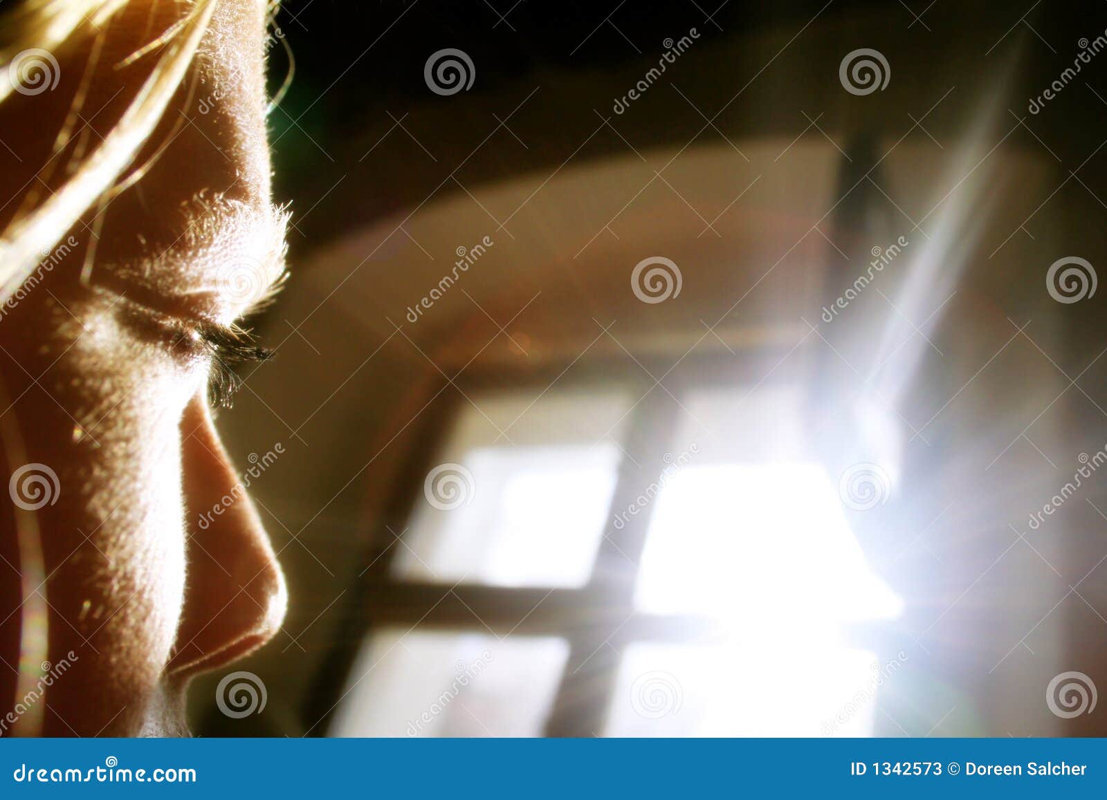 101 Sickly Look Stock Photos - Free & Royalty-Free Stock Photos from ...