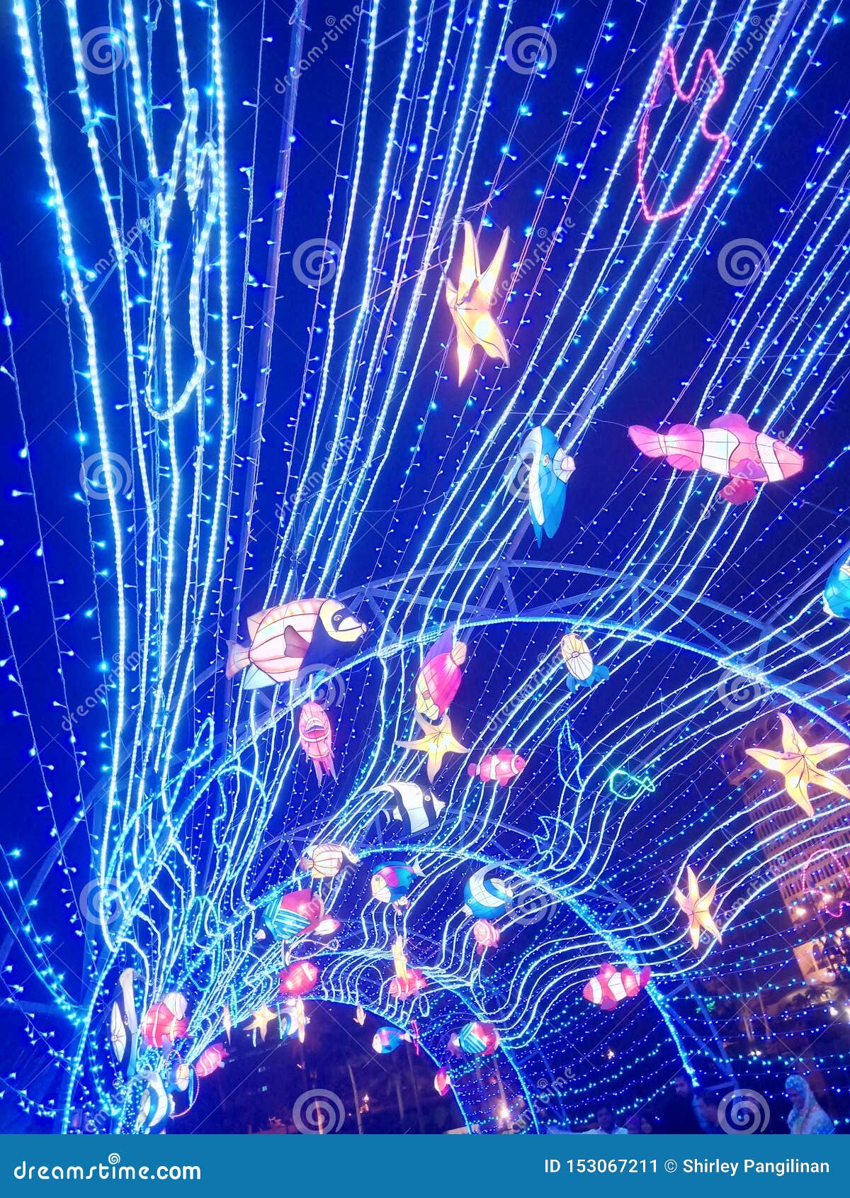 Twinkle in the nights stock image. Image of creative - 153067211