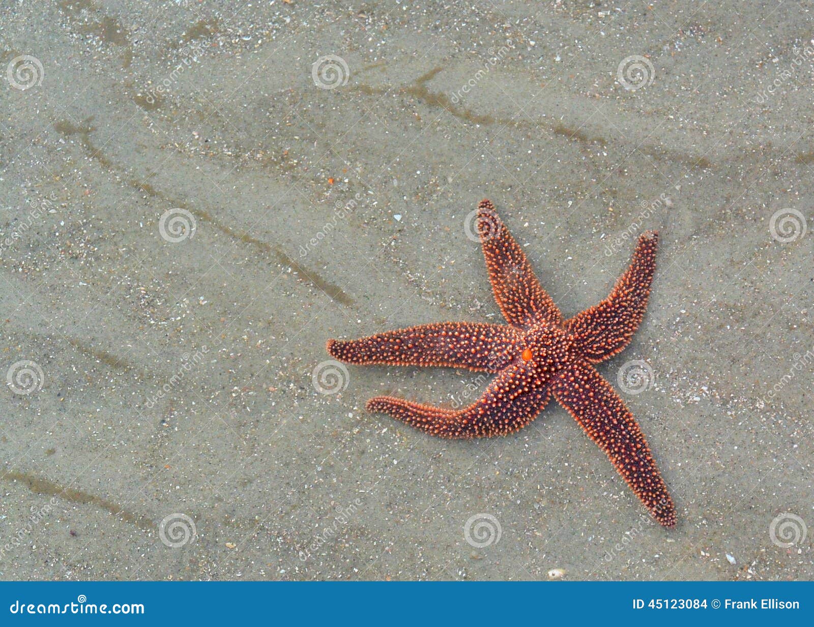 Twinkle Twinkle Little Star... Royalty-Free Stock Photography ...