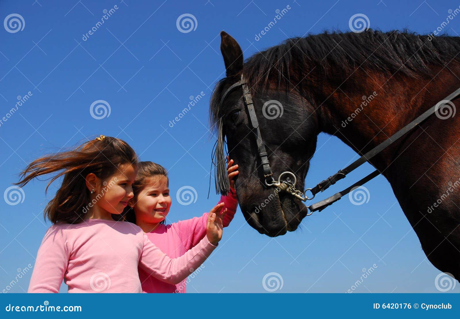Twins and horse stock photo. Image of stroking, horse - 6420176