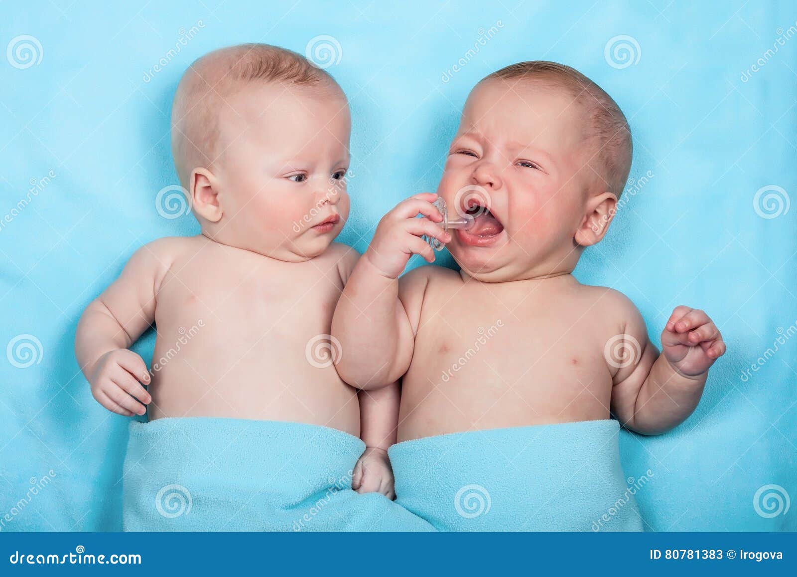 Twins is Laughing on the Blue Stock Image - Image of family, fraternal ...