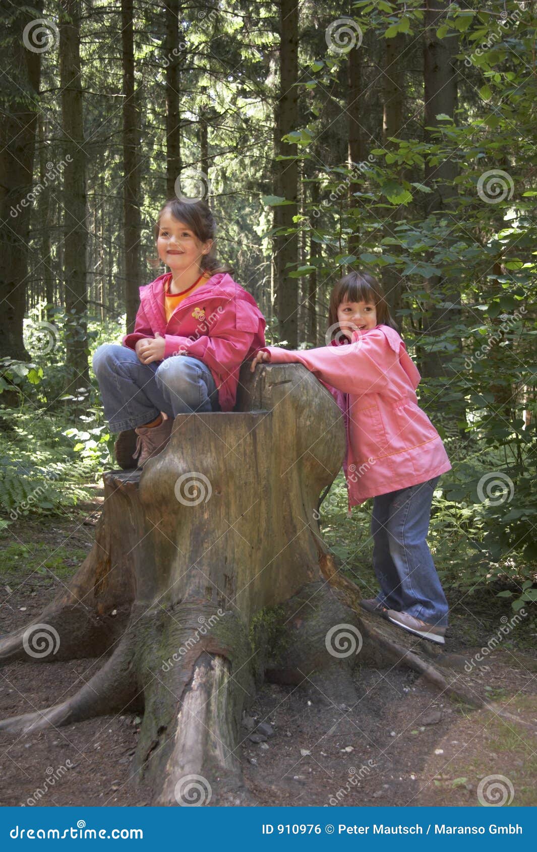 Twins Playing on a Tree Stump Stock Photo - Image of child, naturally ...