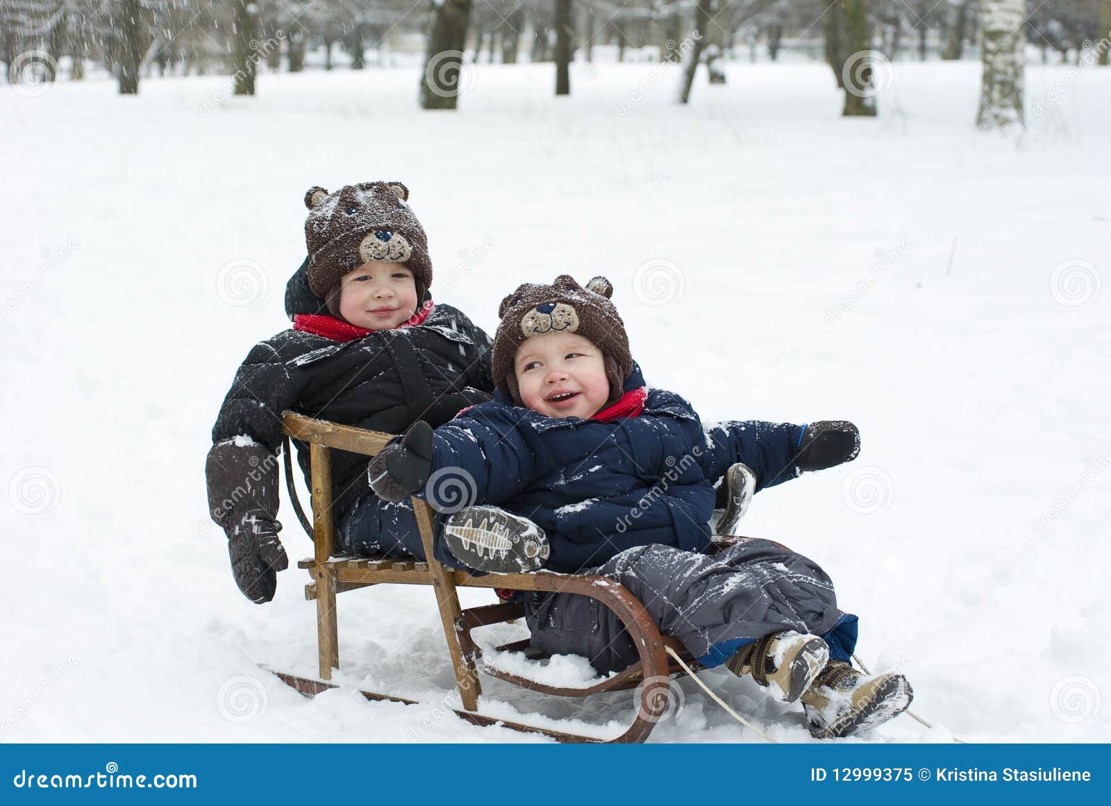 Twins in the sled stock image. Image of sled, clothing - 12999375