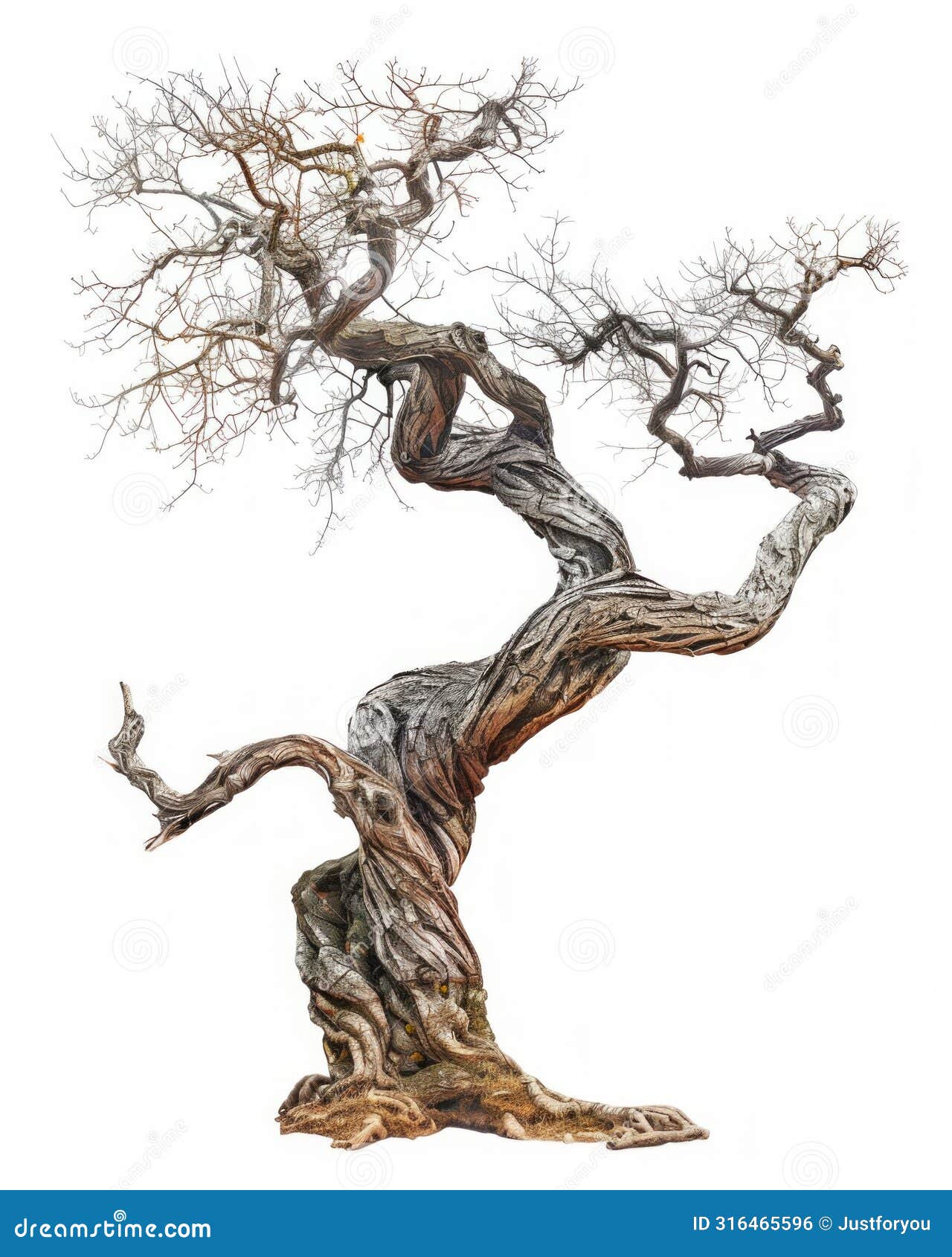 Twisted Ancient Tree Artwork. Generative Ai Stock Illustration ...
