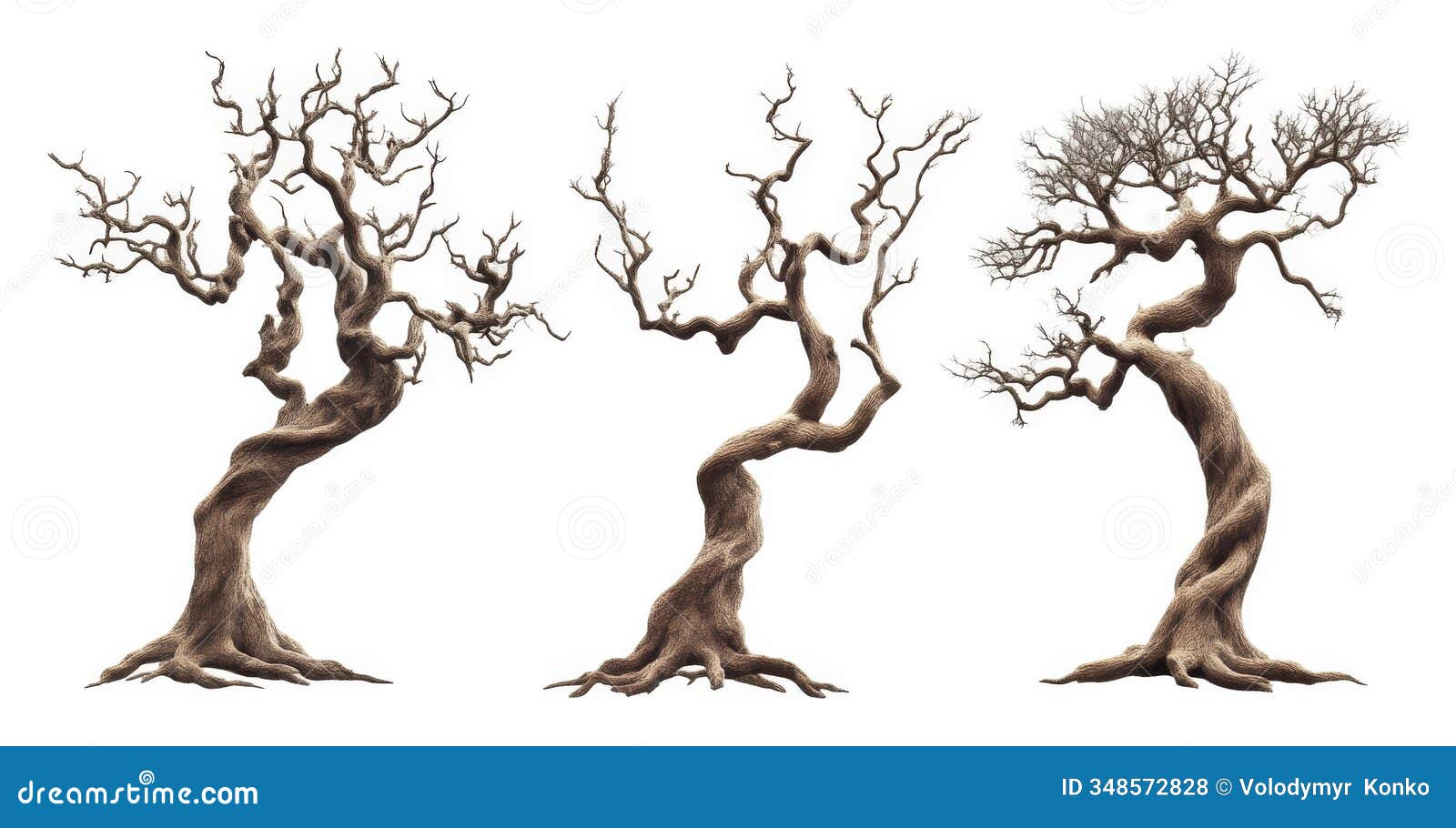 Twisted Barren Trees on Transparent Background, Nature and Art Concept ...