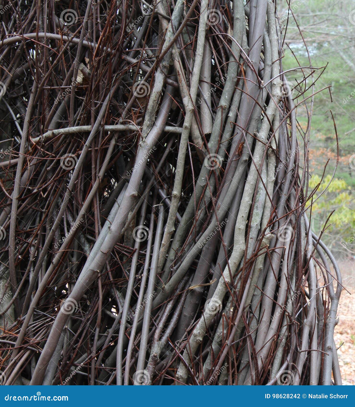 Twisted Branches Column Background Stock Photo - Image of tree, layered ...