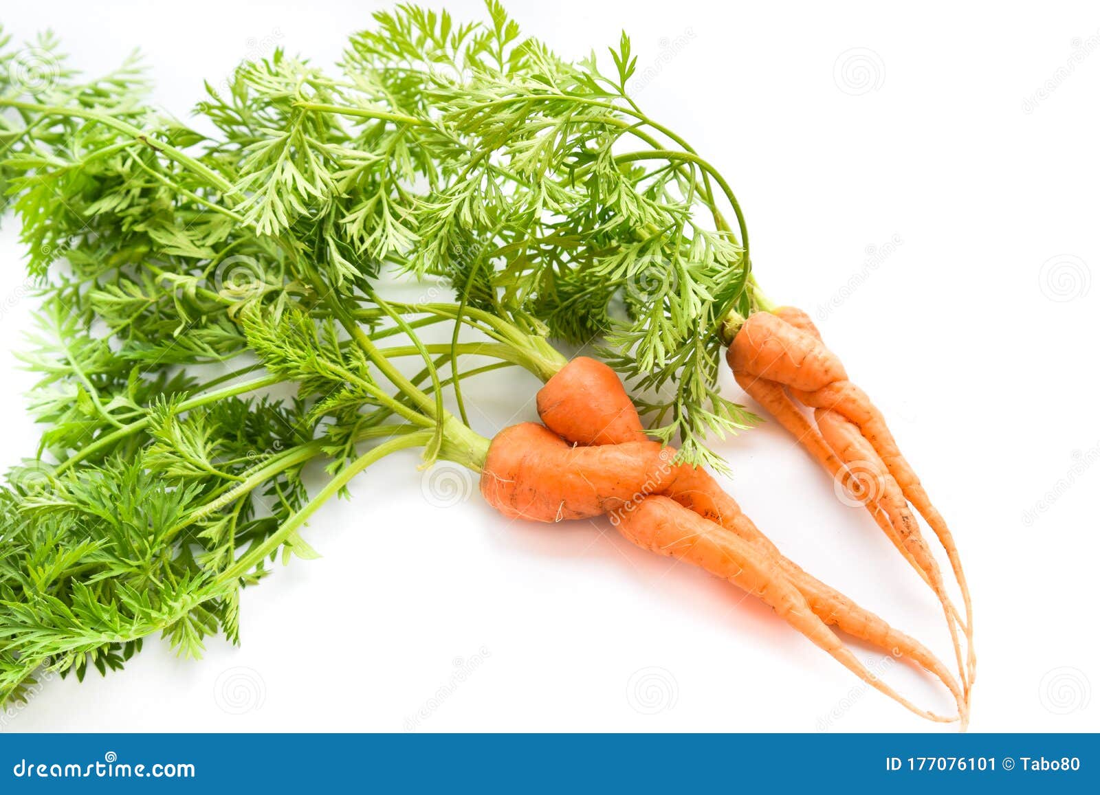 Twisted Carrots in White Background Stock Image - Image of background ...