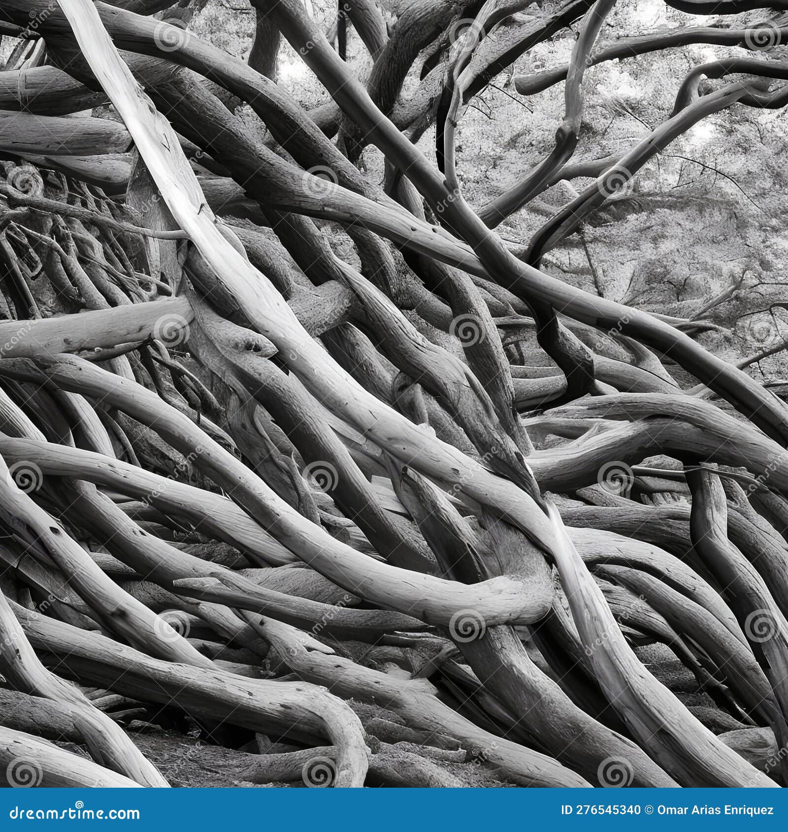 A Twisted and Gnarled Texture with Twisted Branches and Roots4 ...