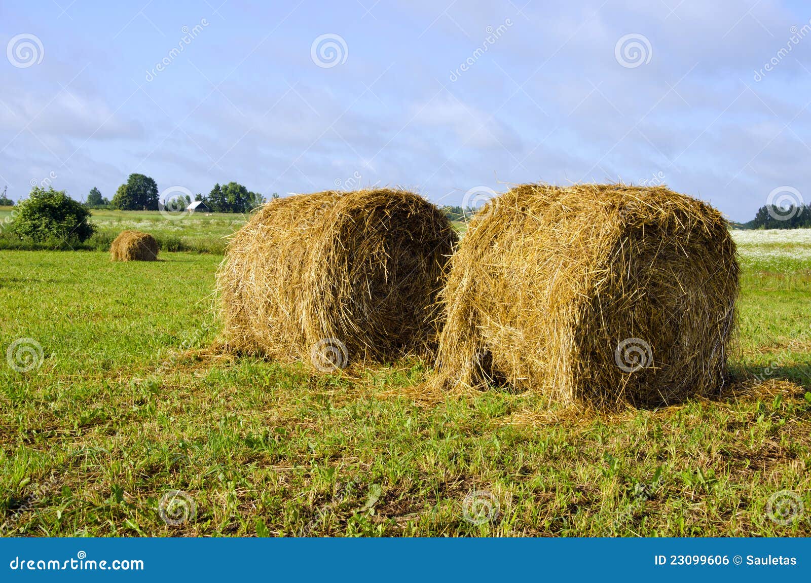 Twisted Haystack in Meadow Animal Feed for Winter Stock Photo - Image ...