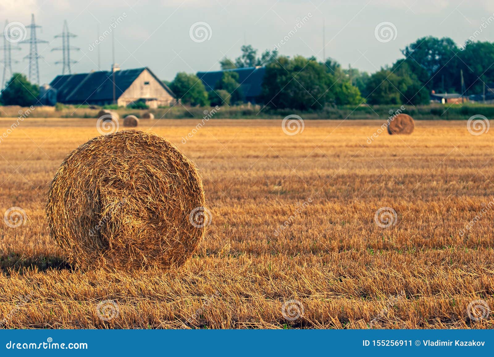 A Twisted Haystack into a Roll Closeup and a Farm in the Distance Stock ...