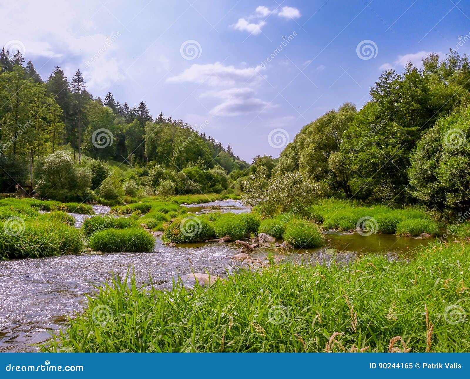 Twisted River with Grassy Islands. Stock Image - Image of color, grass ...
