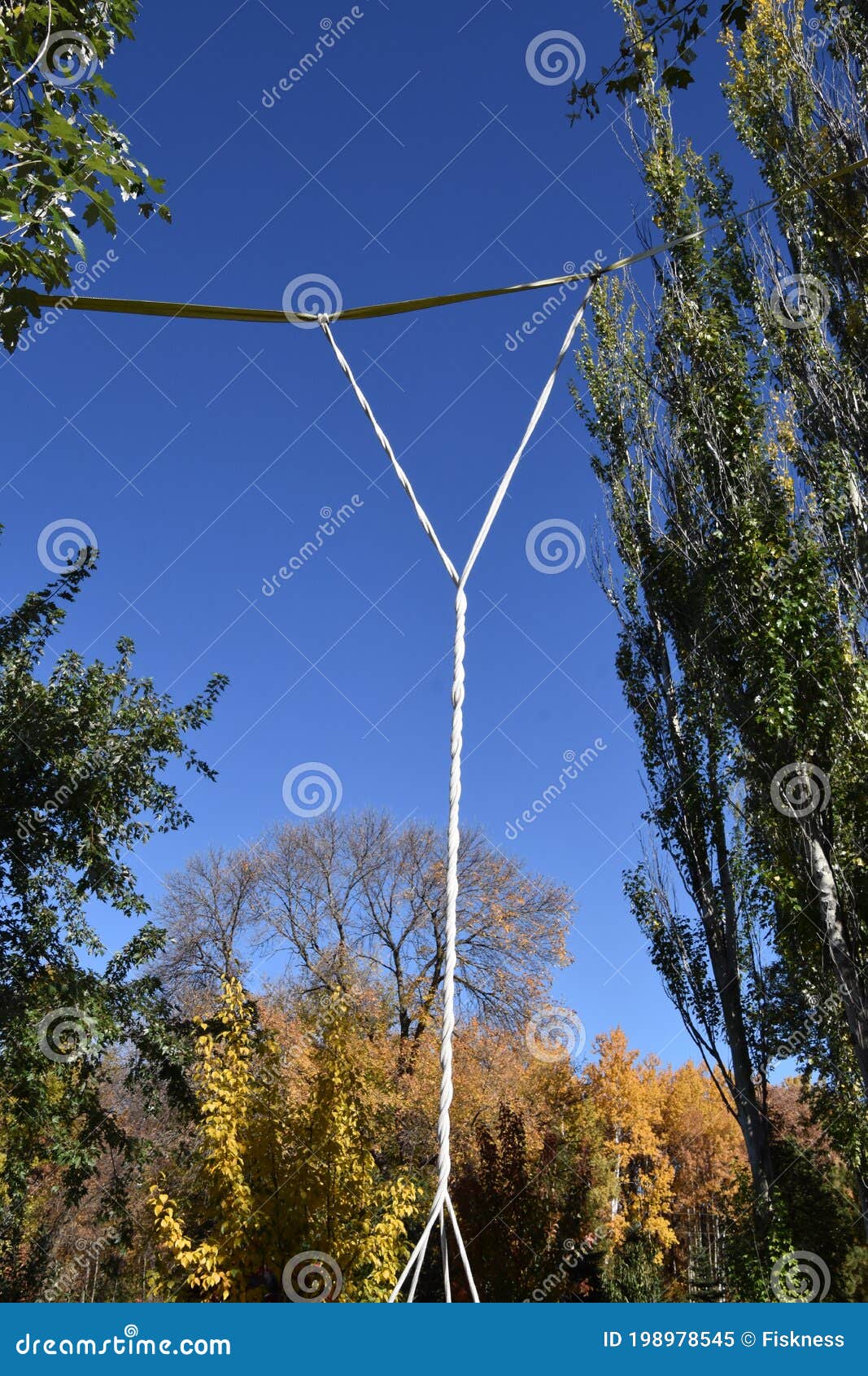Twisted rope of a swing stock image. Image of knotted - 198978545