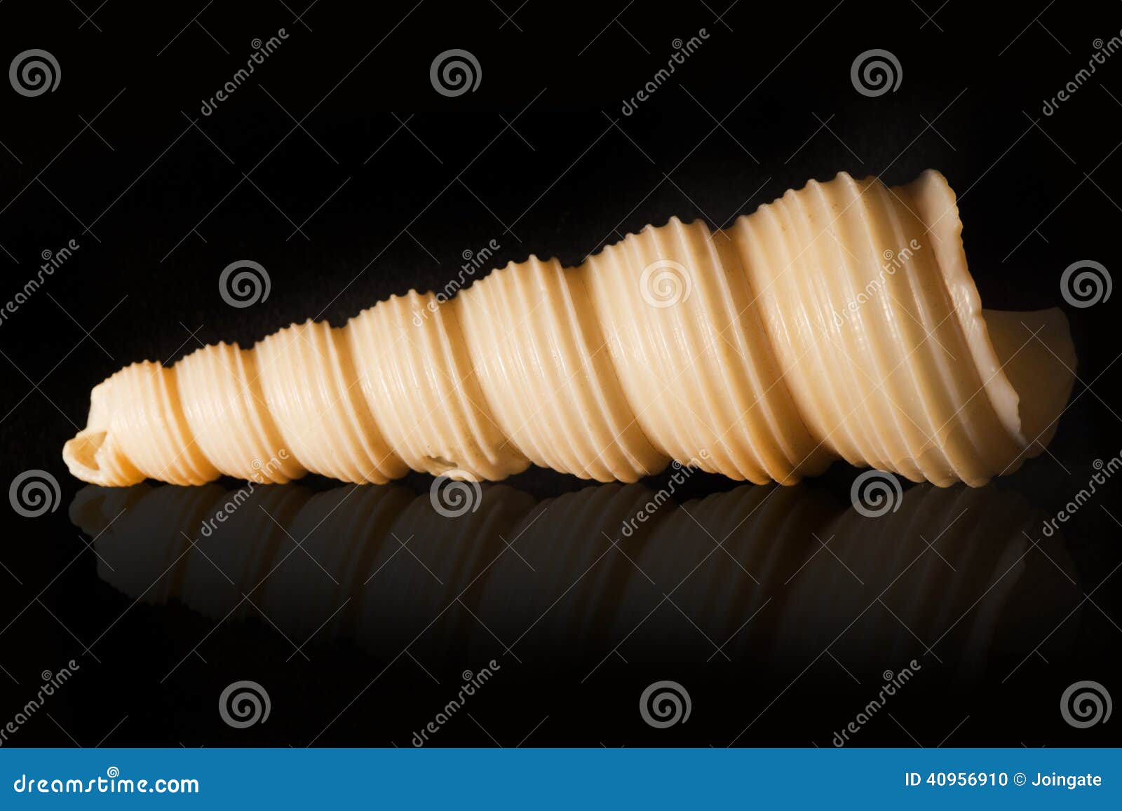 Sea Shell In The Twisted Basket Stock Photo | CartoonDealer.com #23323080
