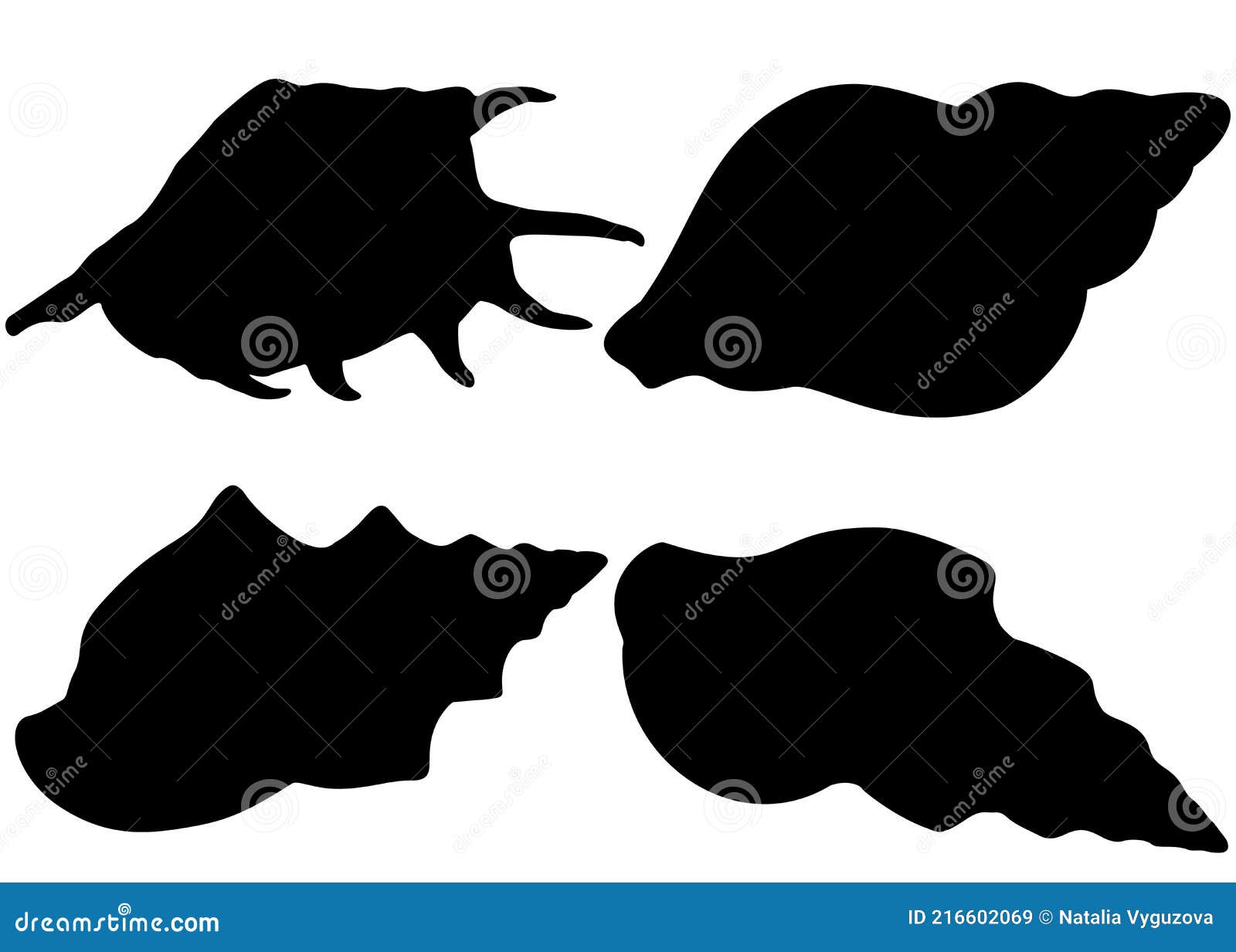 Twisted Sea Shells in the Set. Stock Vector - Illustration of twisted ...