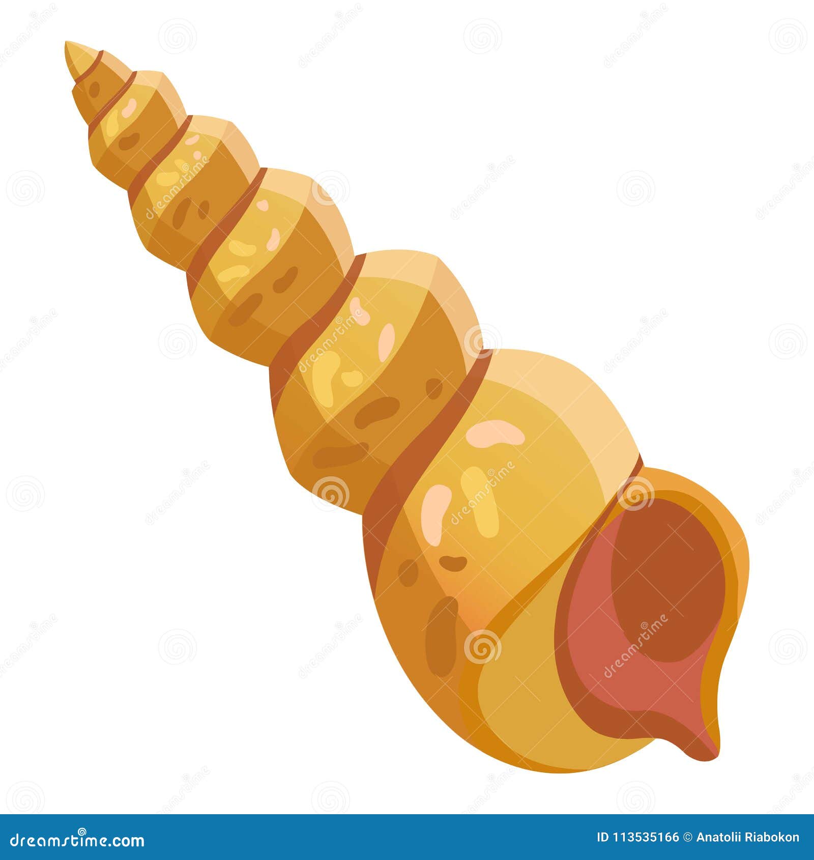 Shell Twisted Shell Pattern Background Royalty-Free Stock Image ...