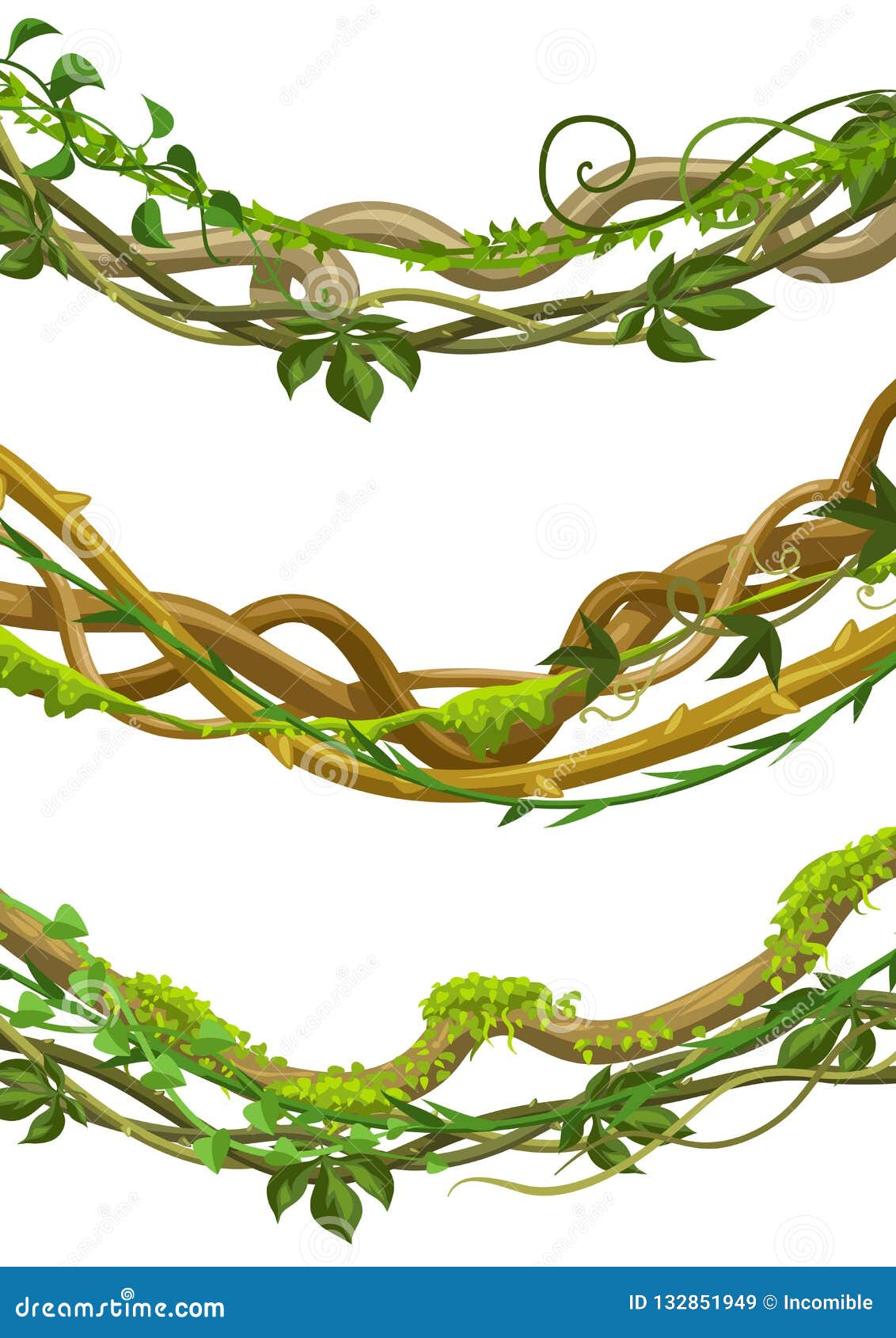 Twisted Wild Lianas Branches Set Stock Vector Illustration Of Jungle Outdoor 132851949
